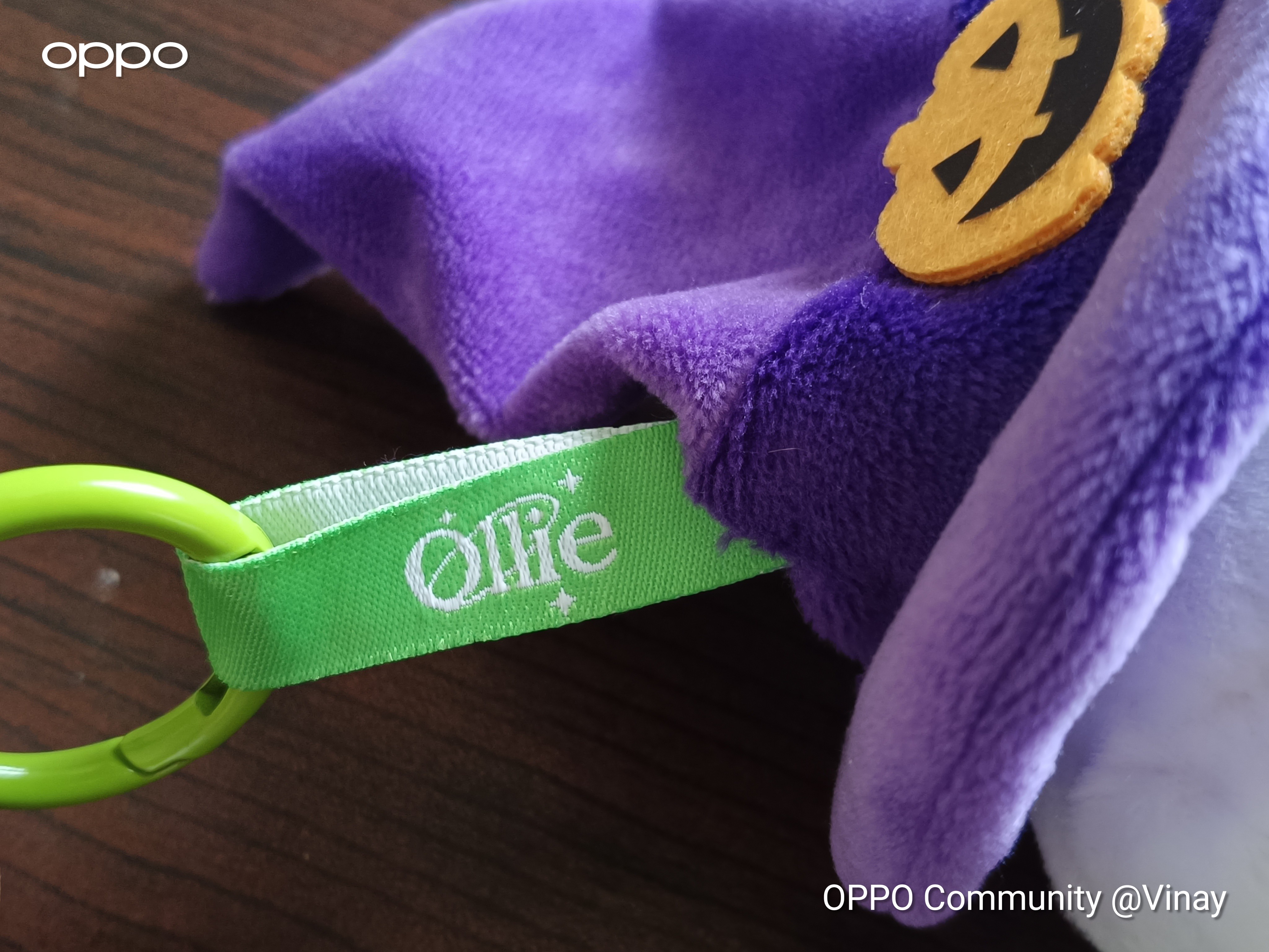 OPPO Life Studio presents Ollie Panorama Collection