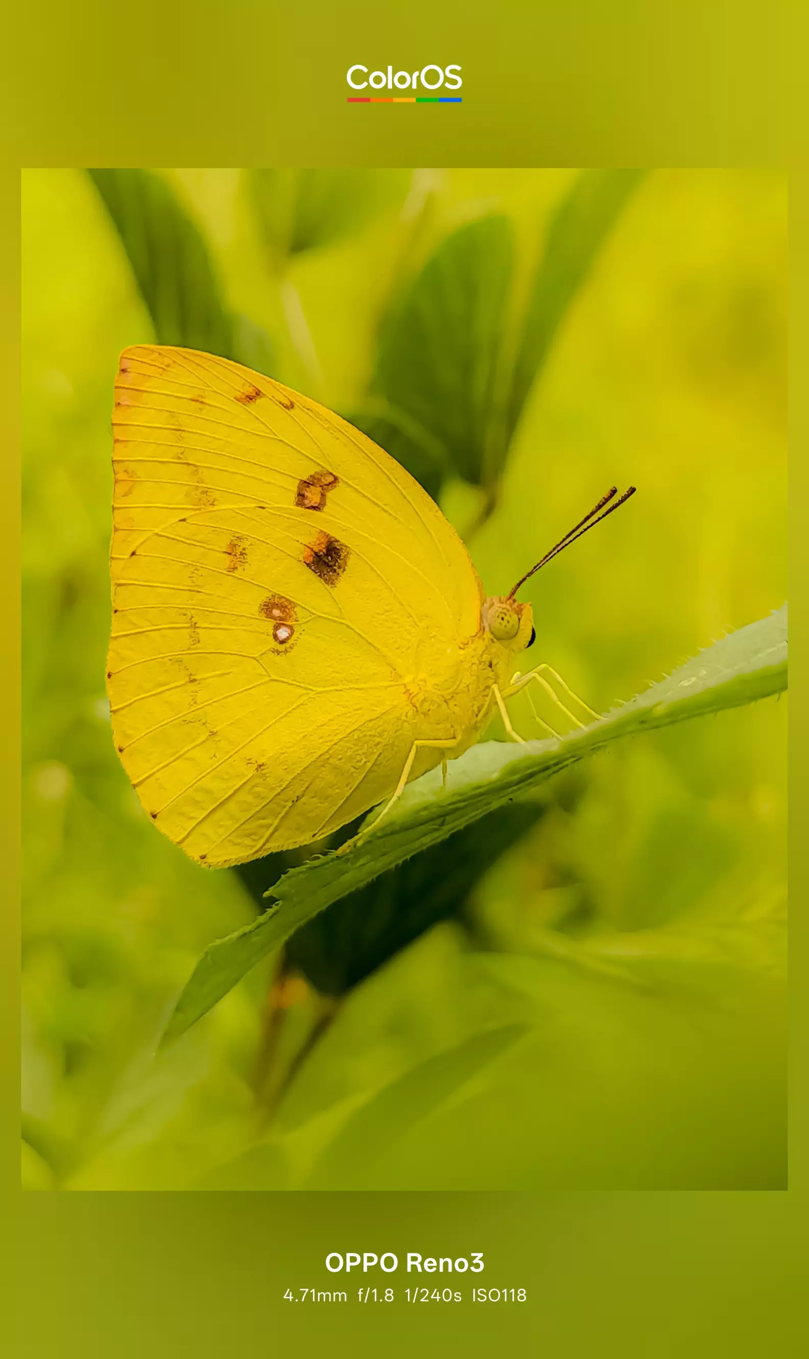 My OPPO Photography Journey: OPPO RENO 3 (Part 6)
