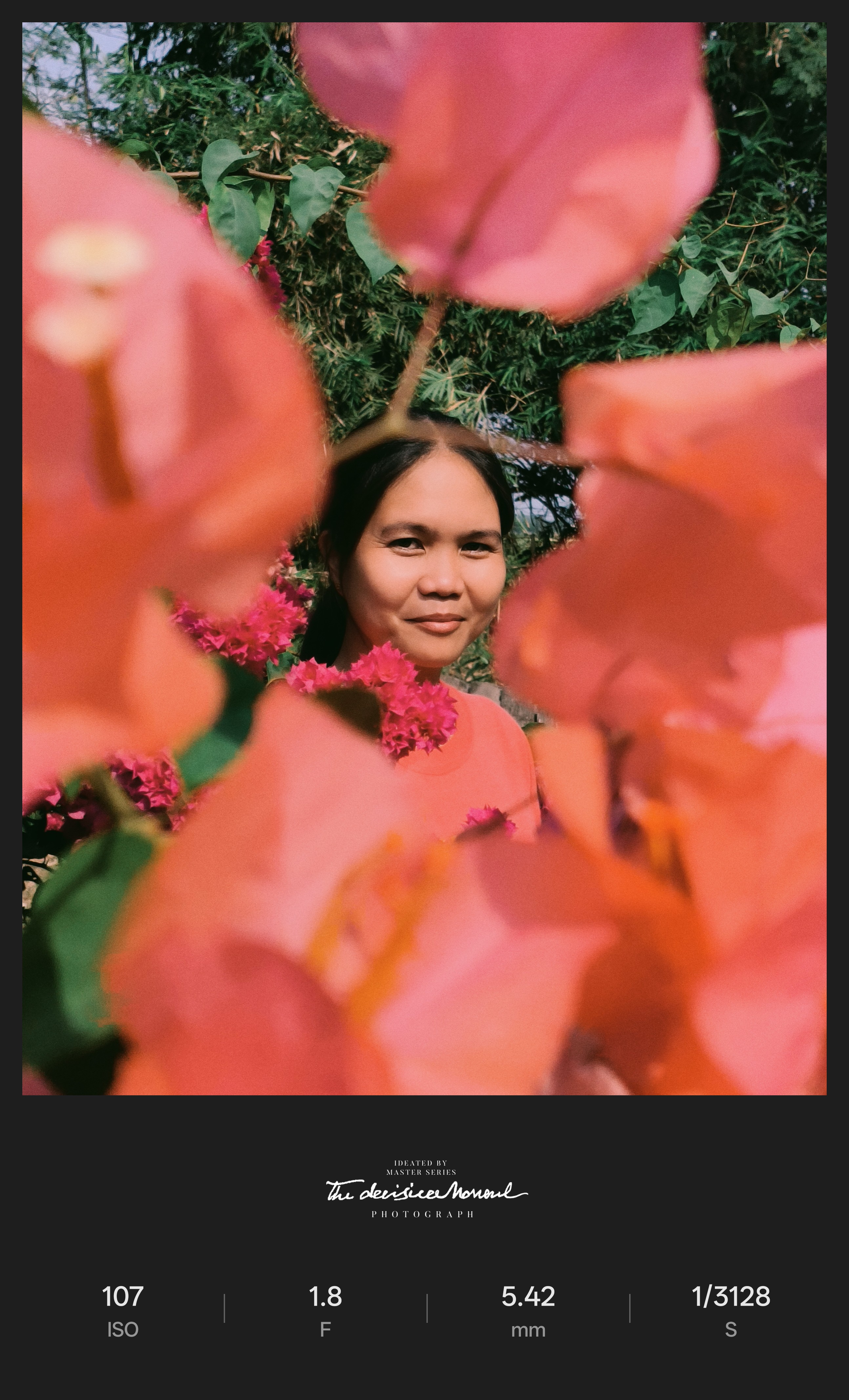 These bougainvillea blooms that once burst with so much colo