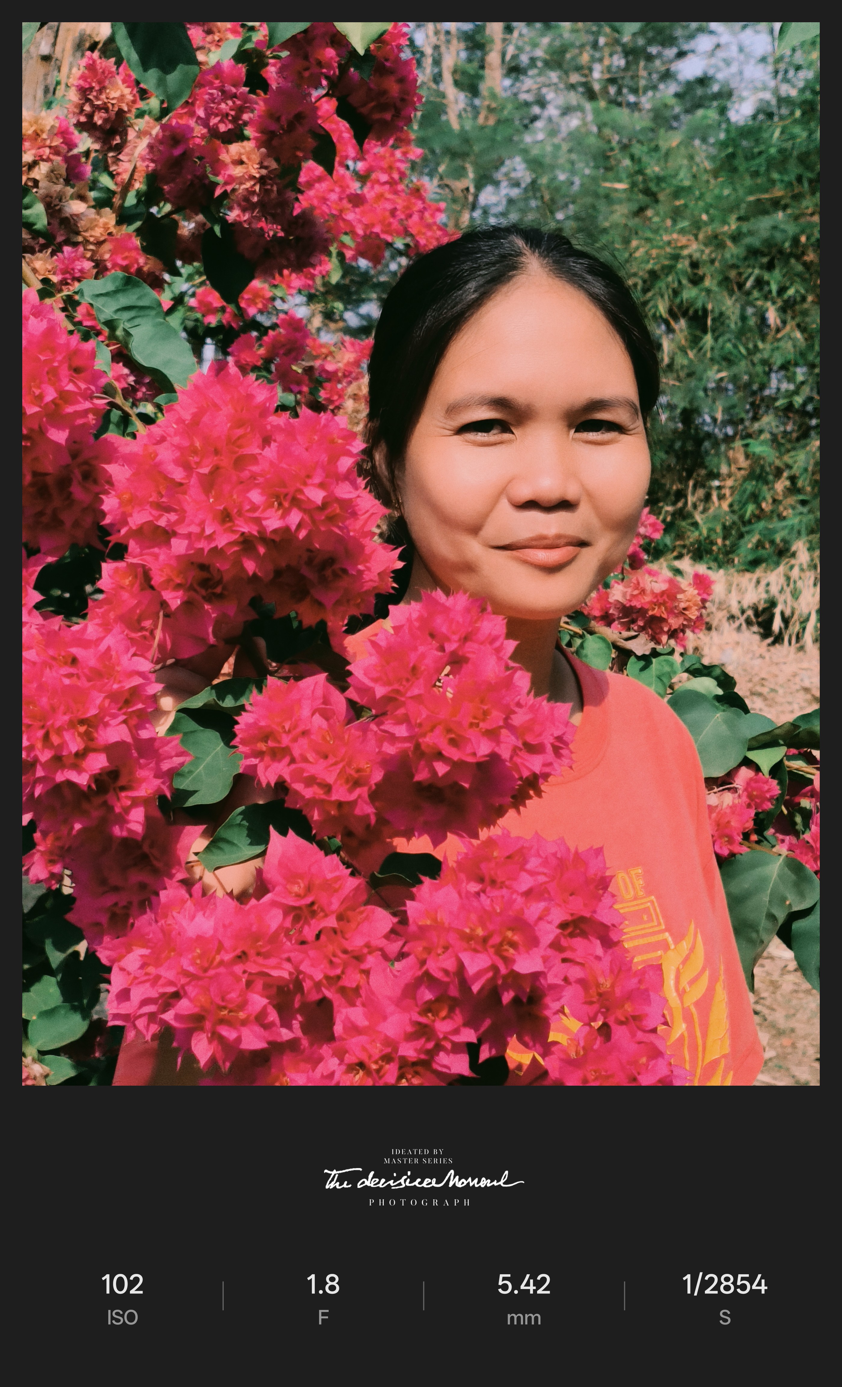 These bougainvillea blooms that once burst with so much colo