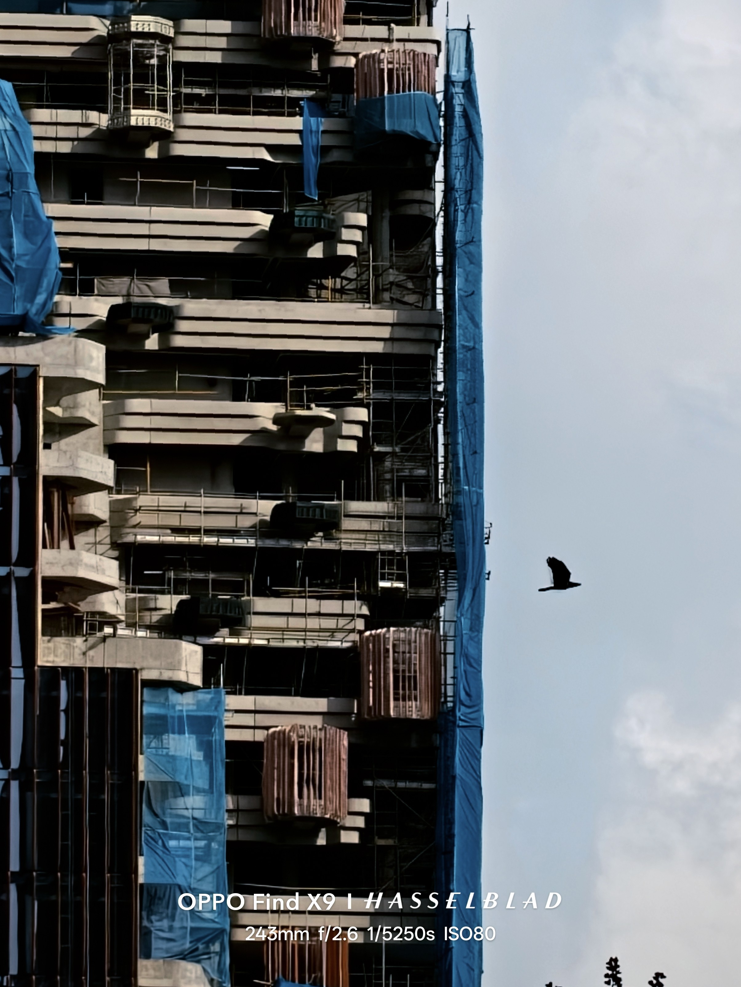 How to Shoot Minimalist Building Using Phone