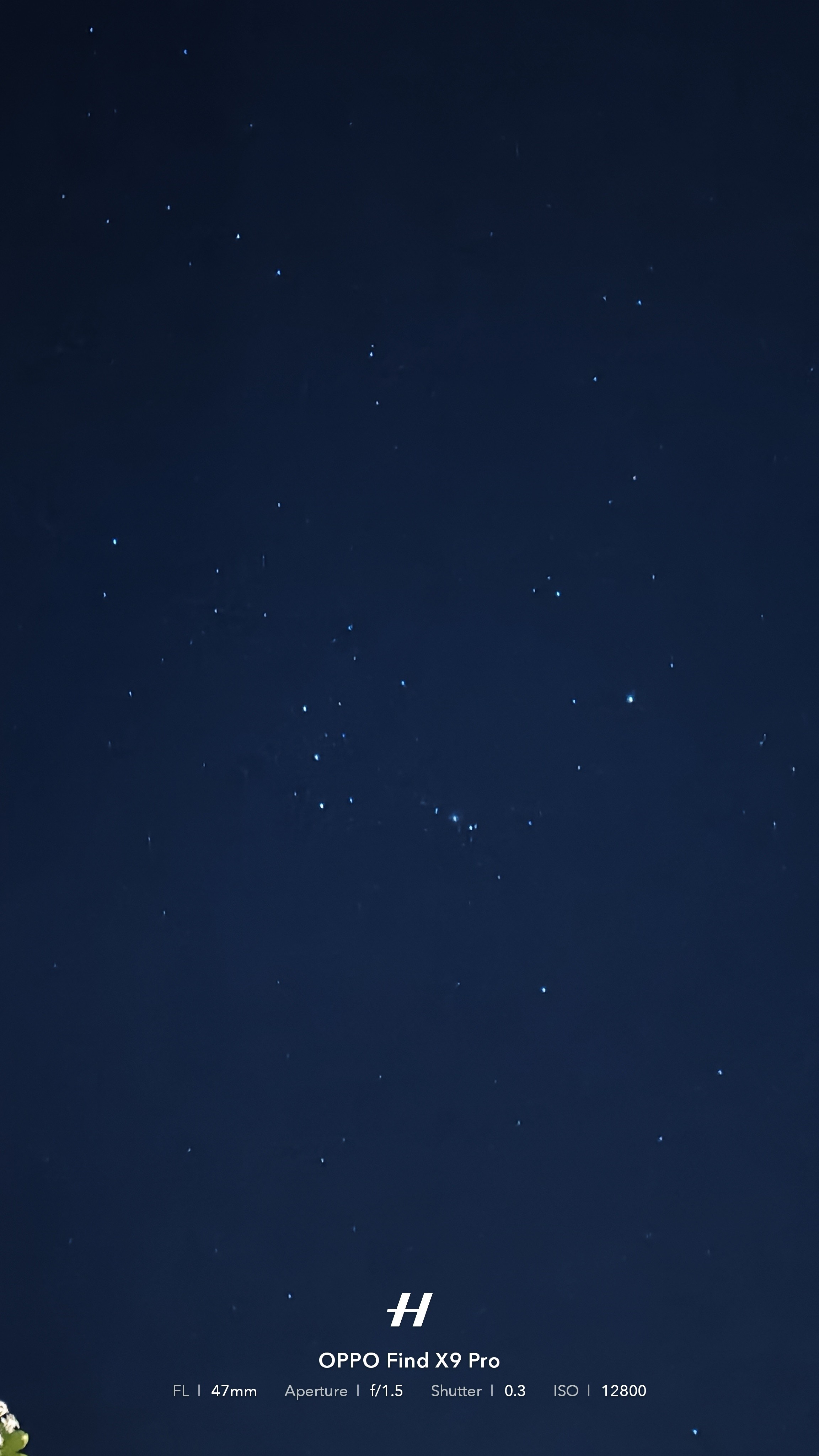 When the Night Went Completely Dark, the Camera Didn’t Blink!