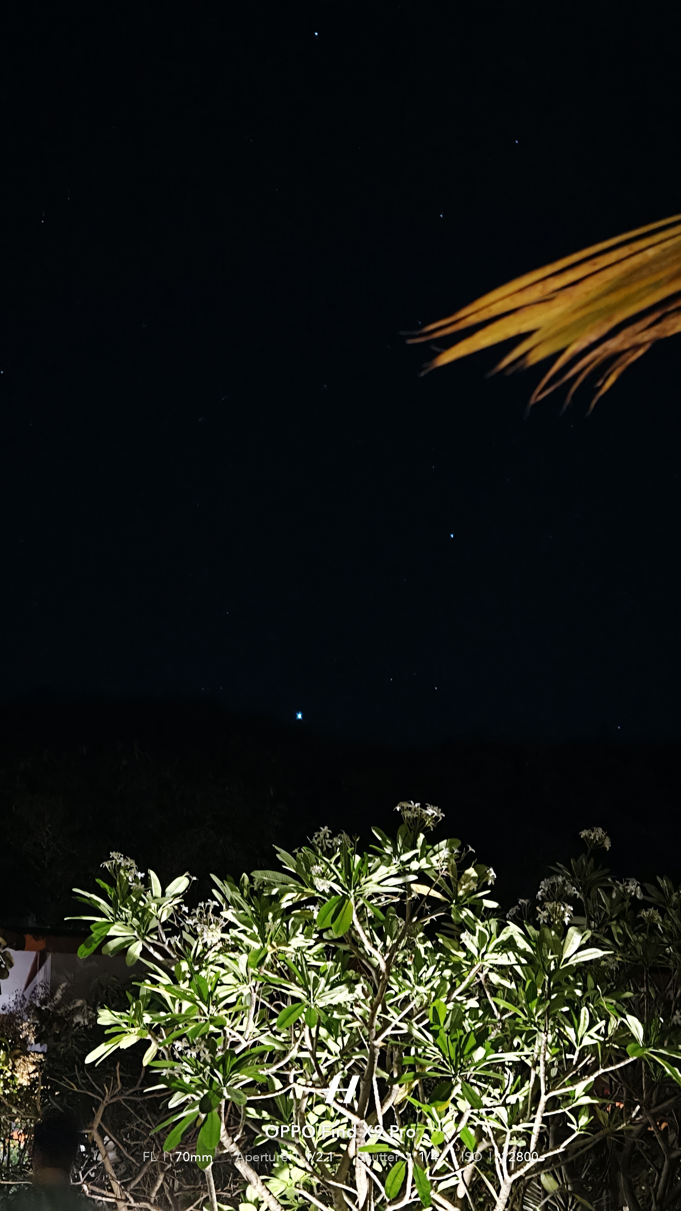 When the Night Went Completely Dark, the Camera Didn’t Blink!