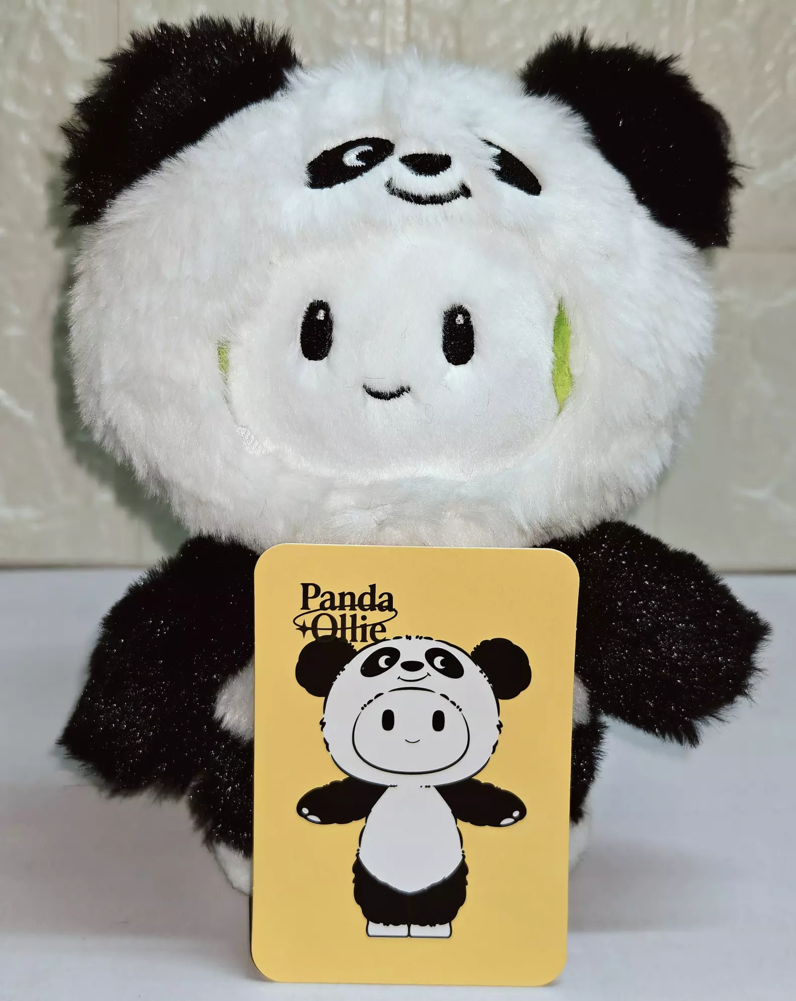 An Unexpected Surprise: Panda Ollie Is Finally Mine