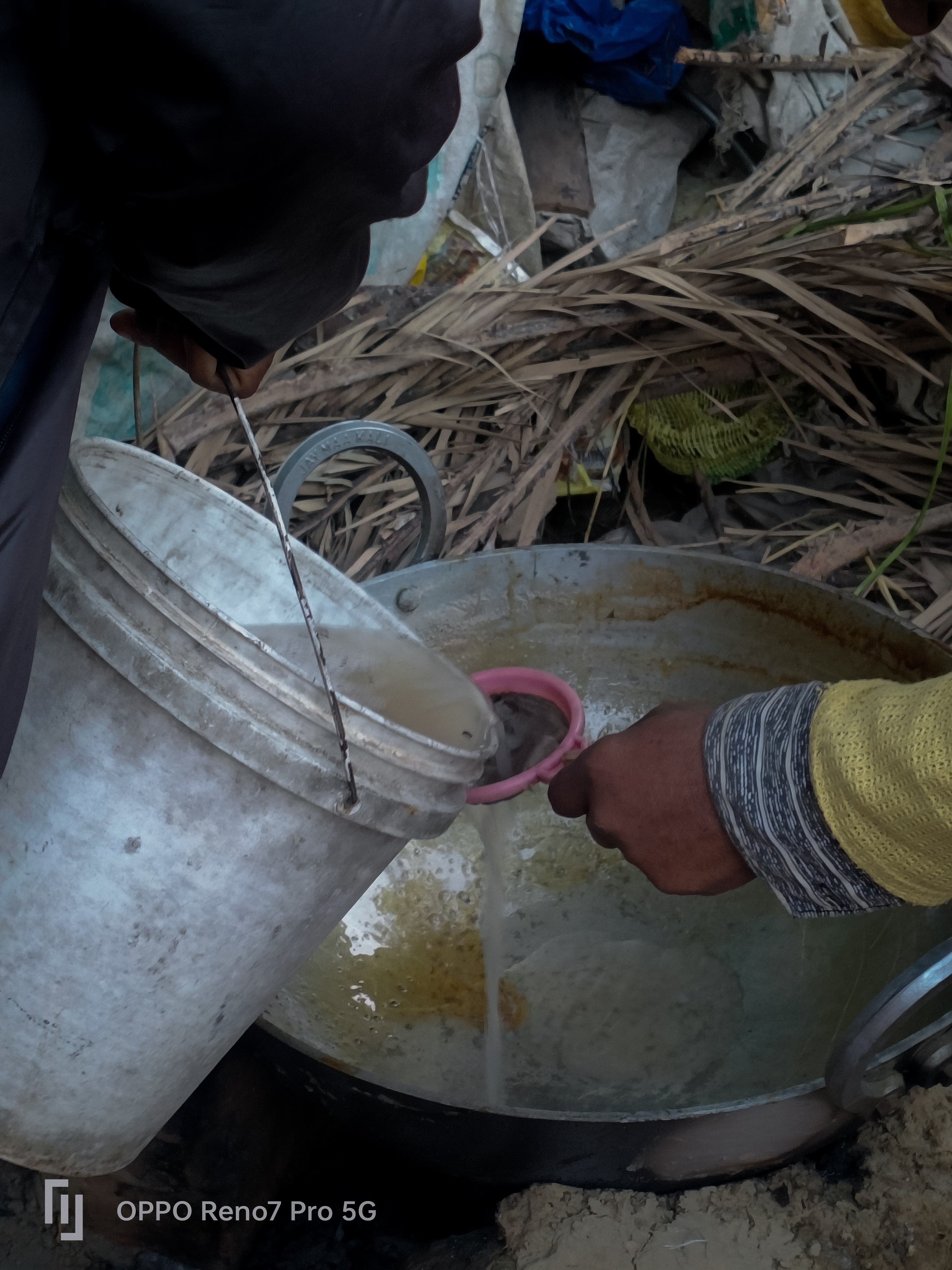 🍯 Jaggery Making Process: From Date Tree to the Pot! | A Glimpse of ...