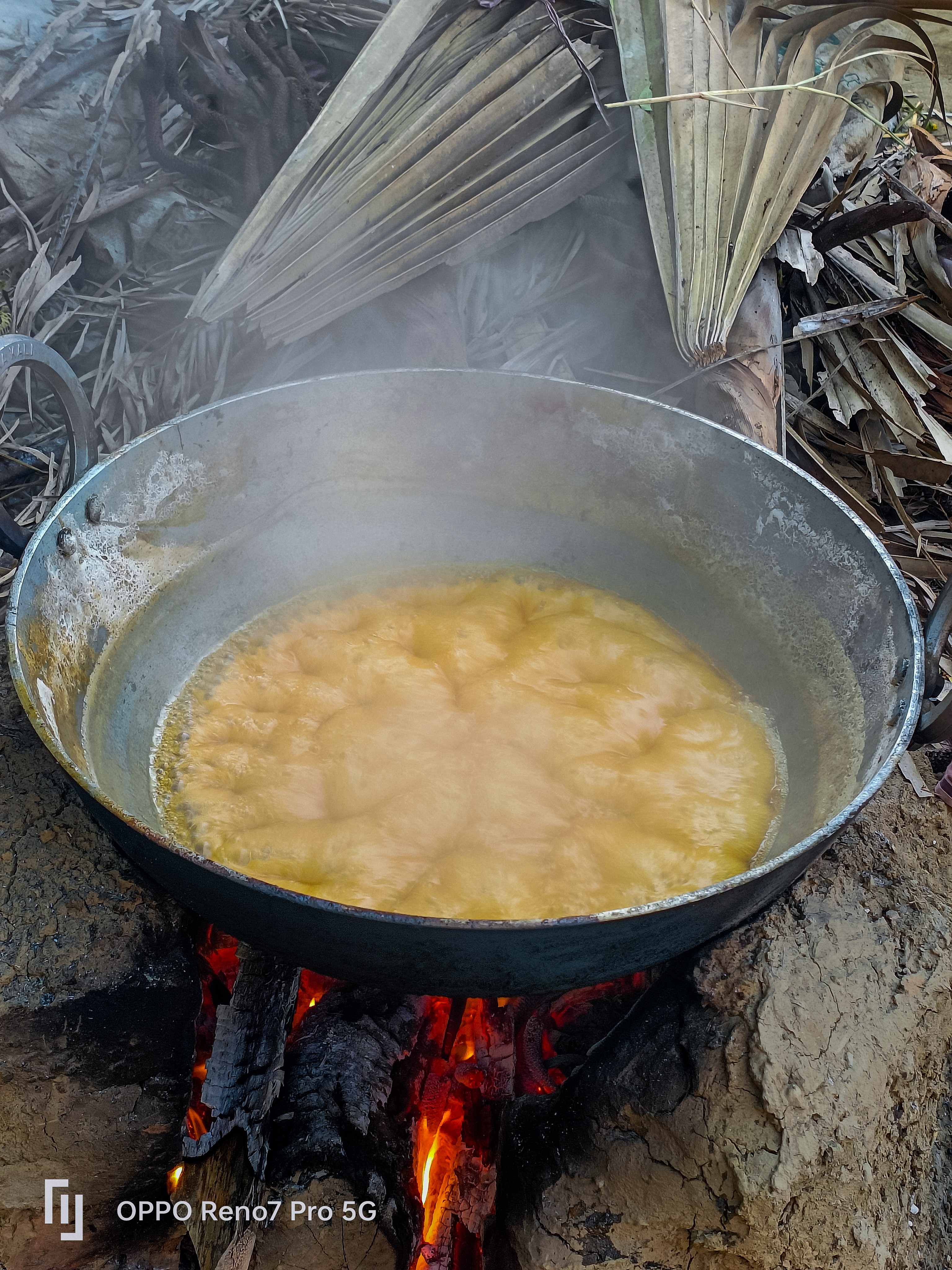 🍯 Jaggery Making Process: From Date Tree to the Pot! | A Glimpse of ...