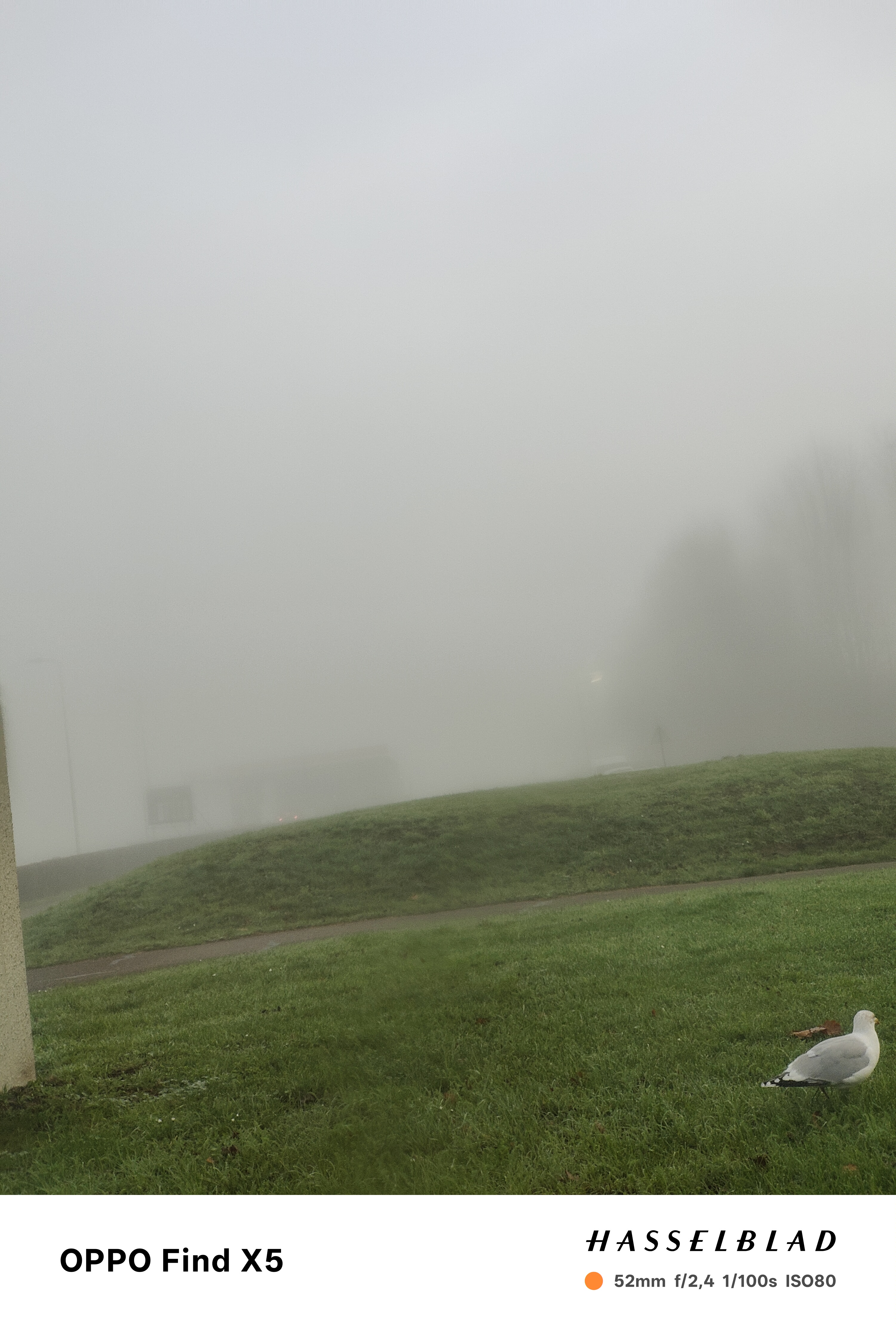 Good morning everyone,it's so foggy in the Netherlands