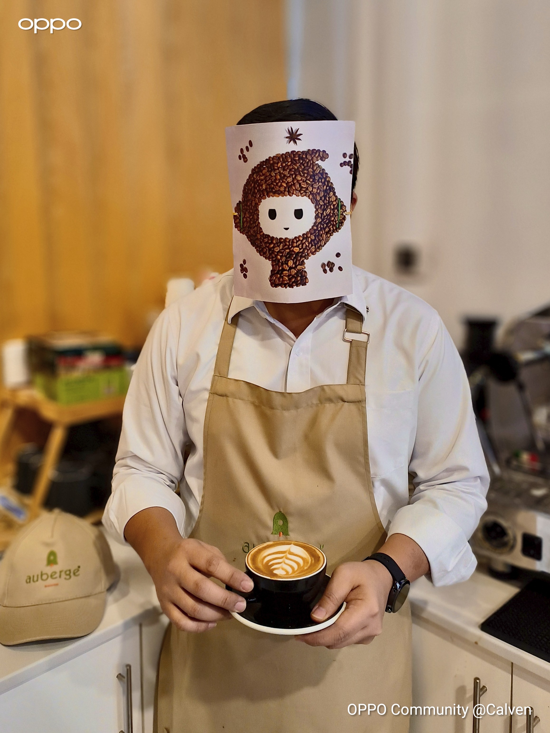 Coffee Bean Ollie, A Barista Journey!