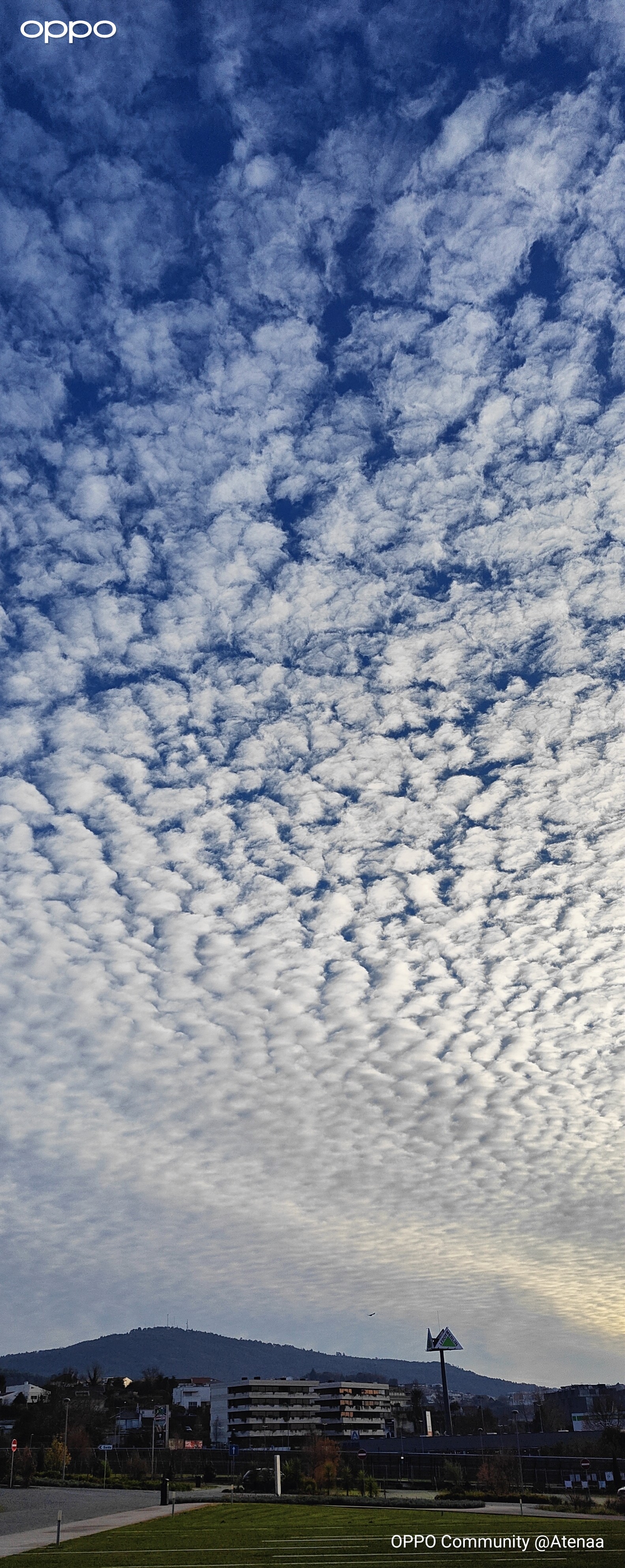 CLOUDS ☁️Little fluffy balls of white cotton, in the sky. ☁️