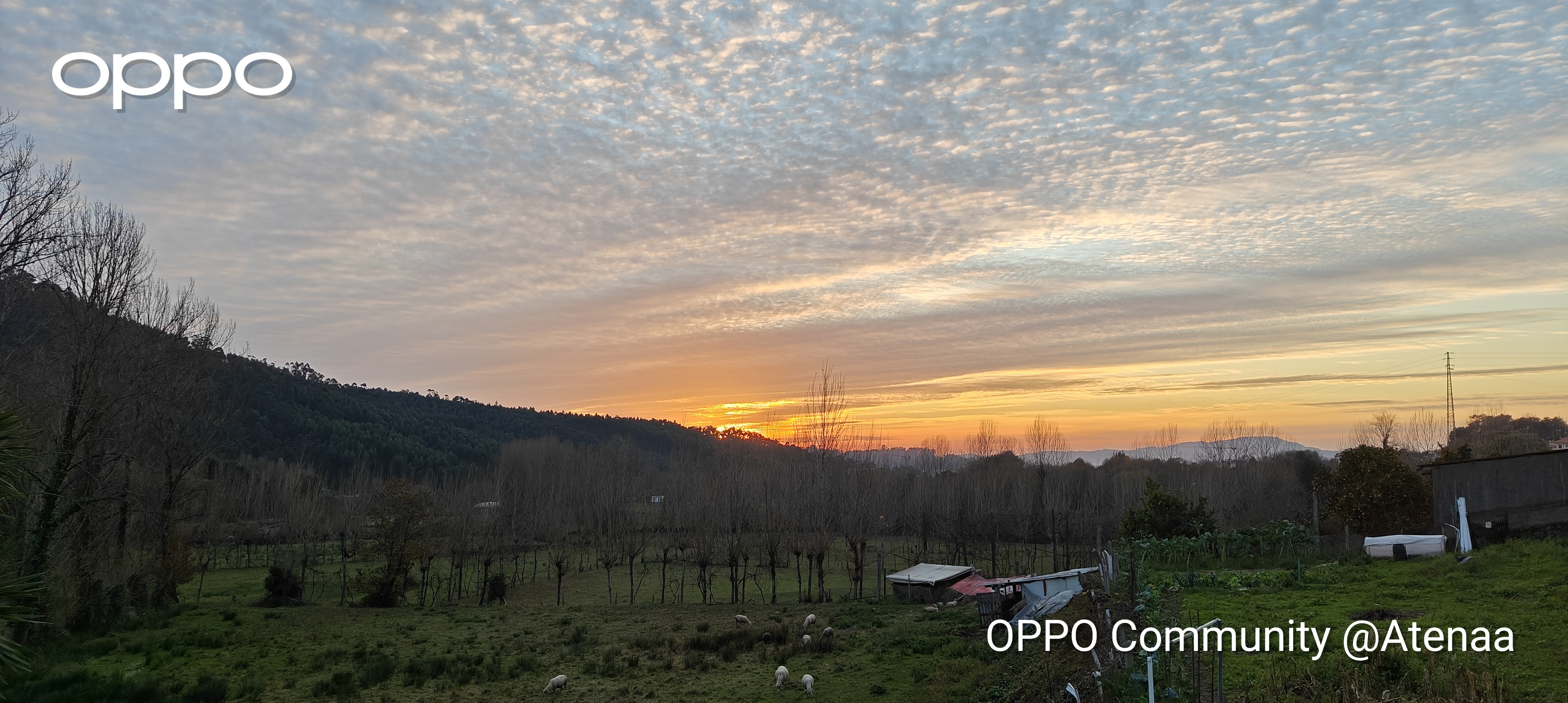 CLOUDS ☁️Little fluffy balls of white cotton, in the sky. ☁️