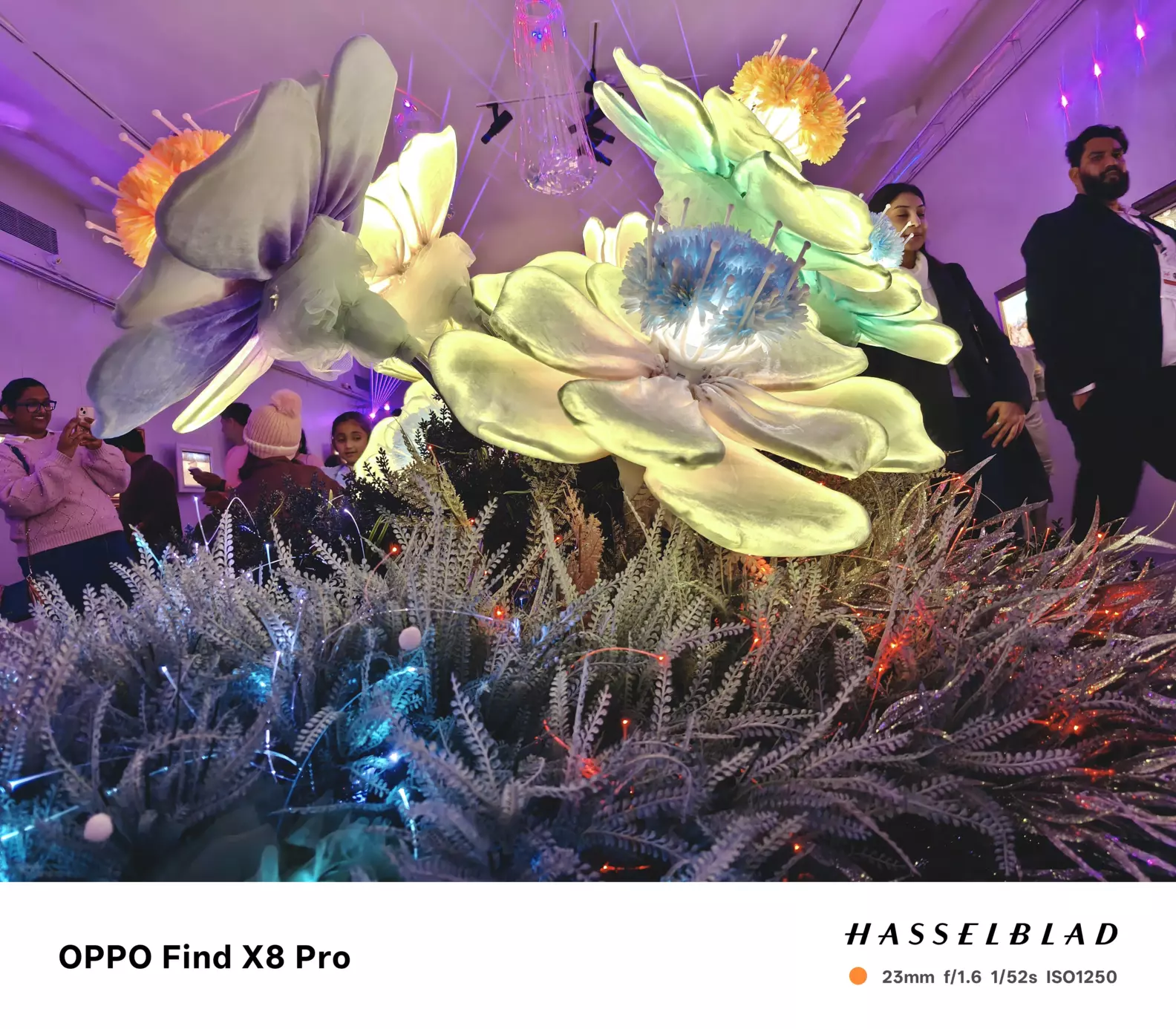 Captured Art Exhibition With My OPPO Find X8 Pro 📸