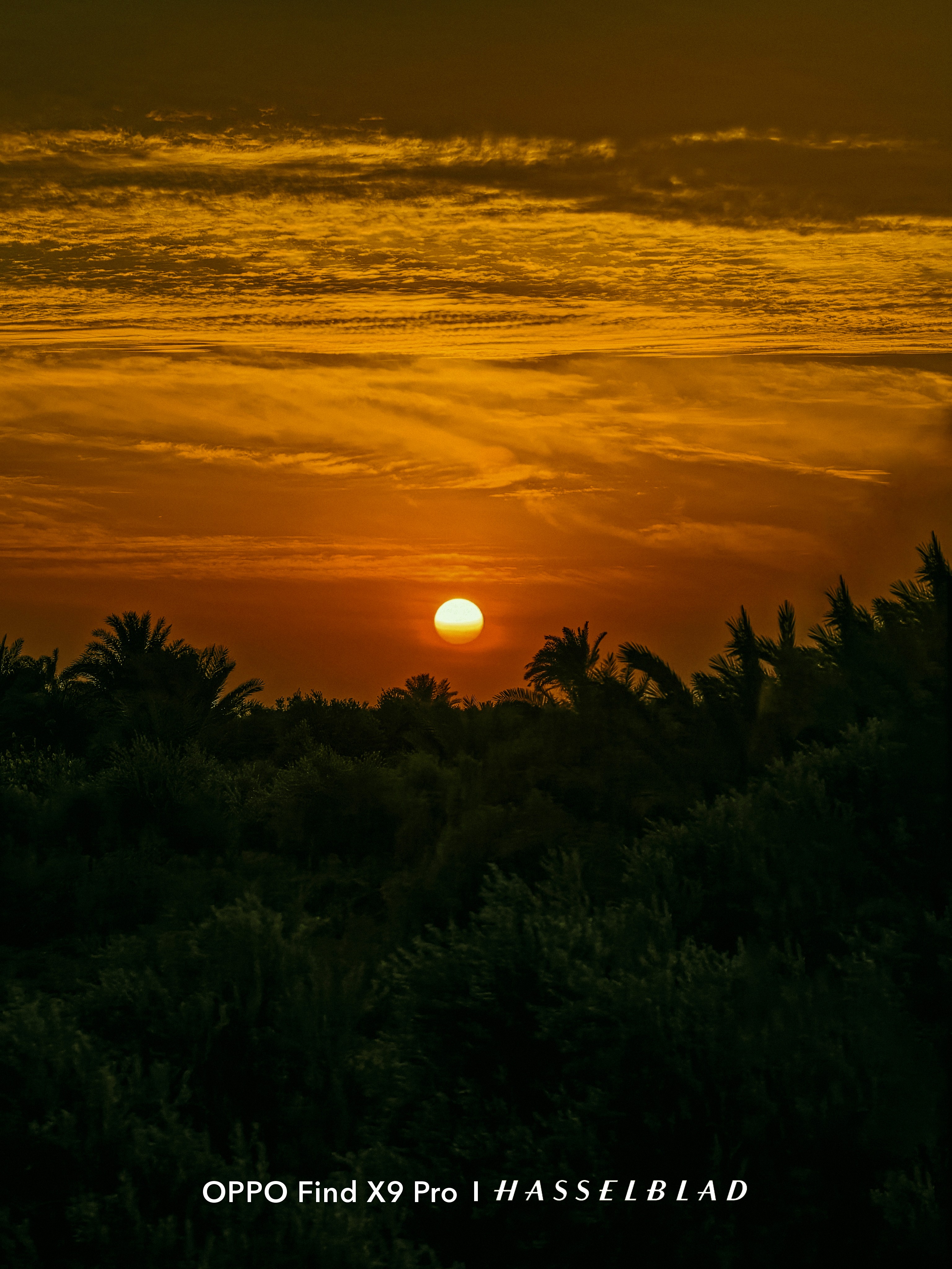 From sunset to starlight in Fayoum 🌄🌌Shot using the OPPO F