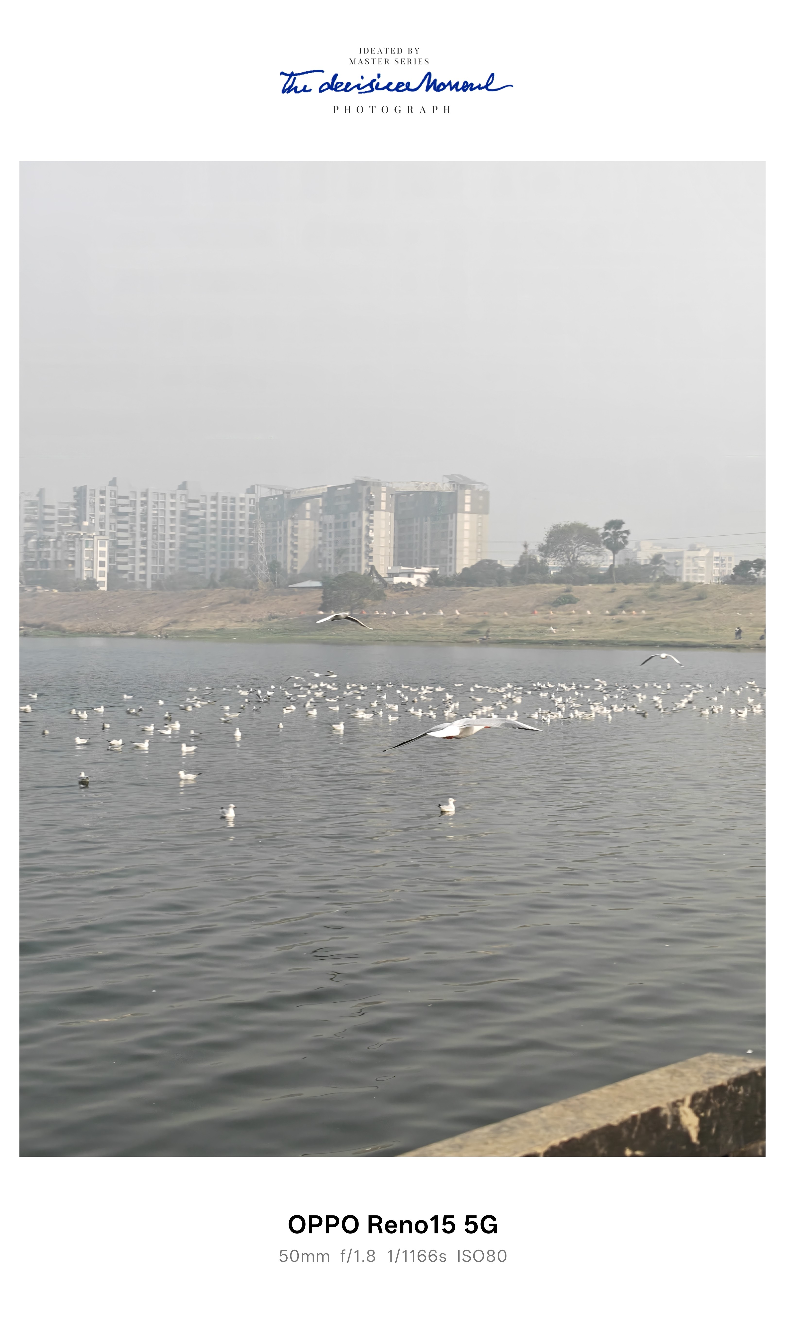 When the World Comes Home: Winter Stories of Tapi River
