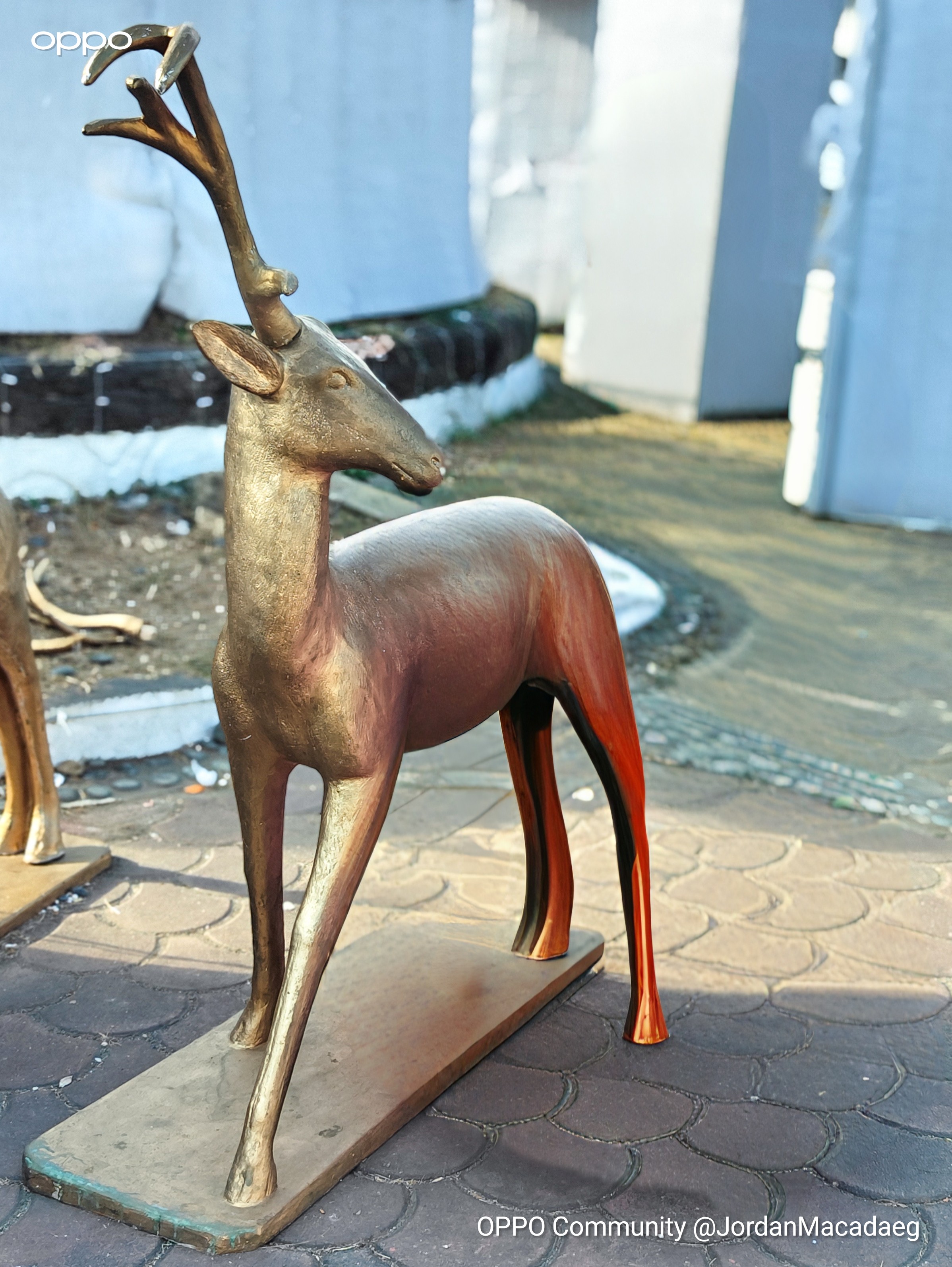 Can you guess what happened here? And what do you think I re