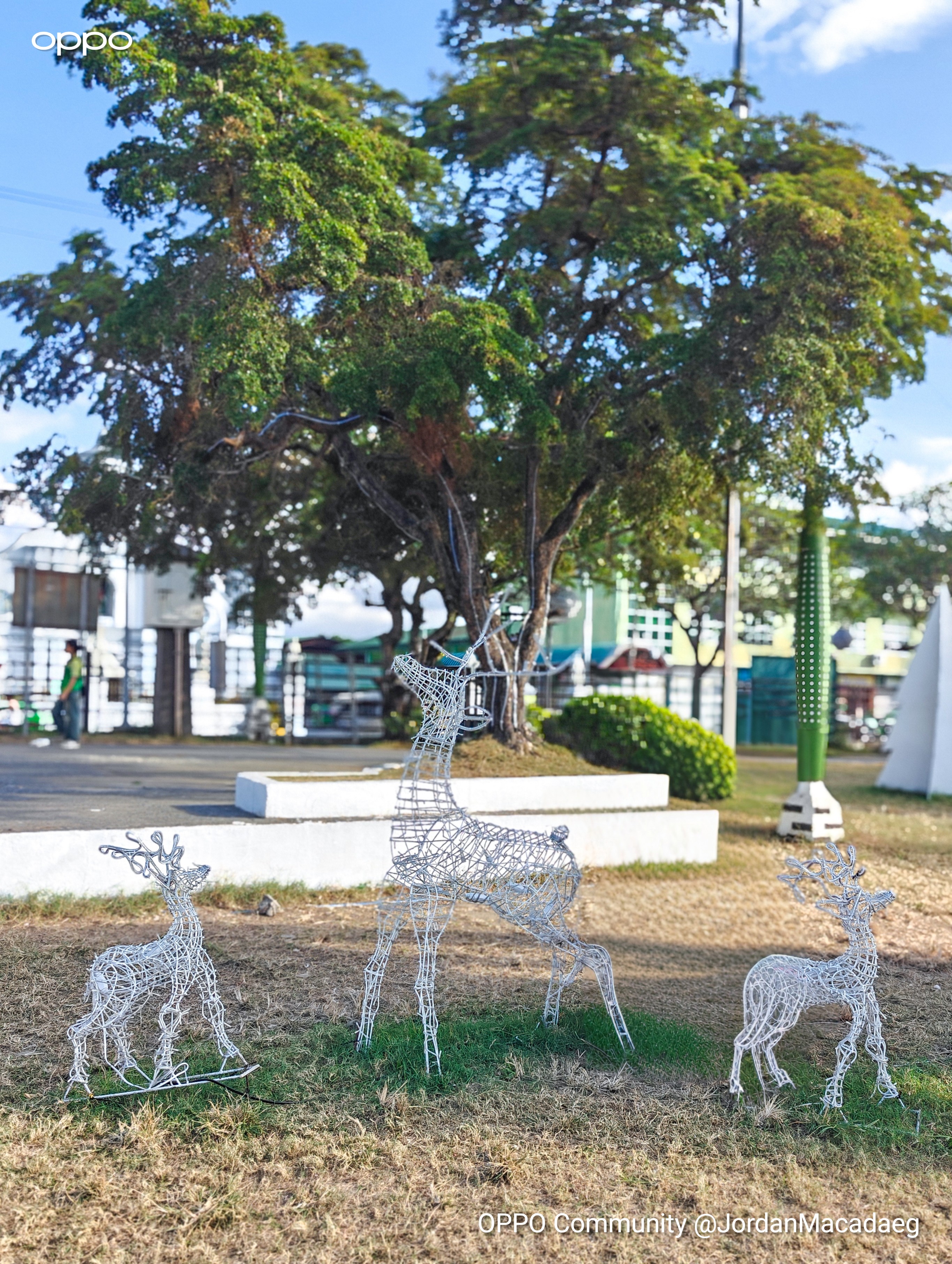 Can you guess what happened here? And what do you think I re