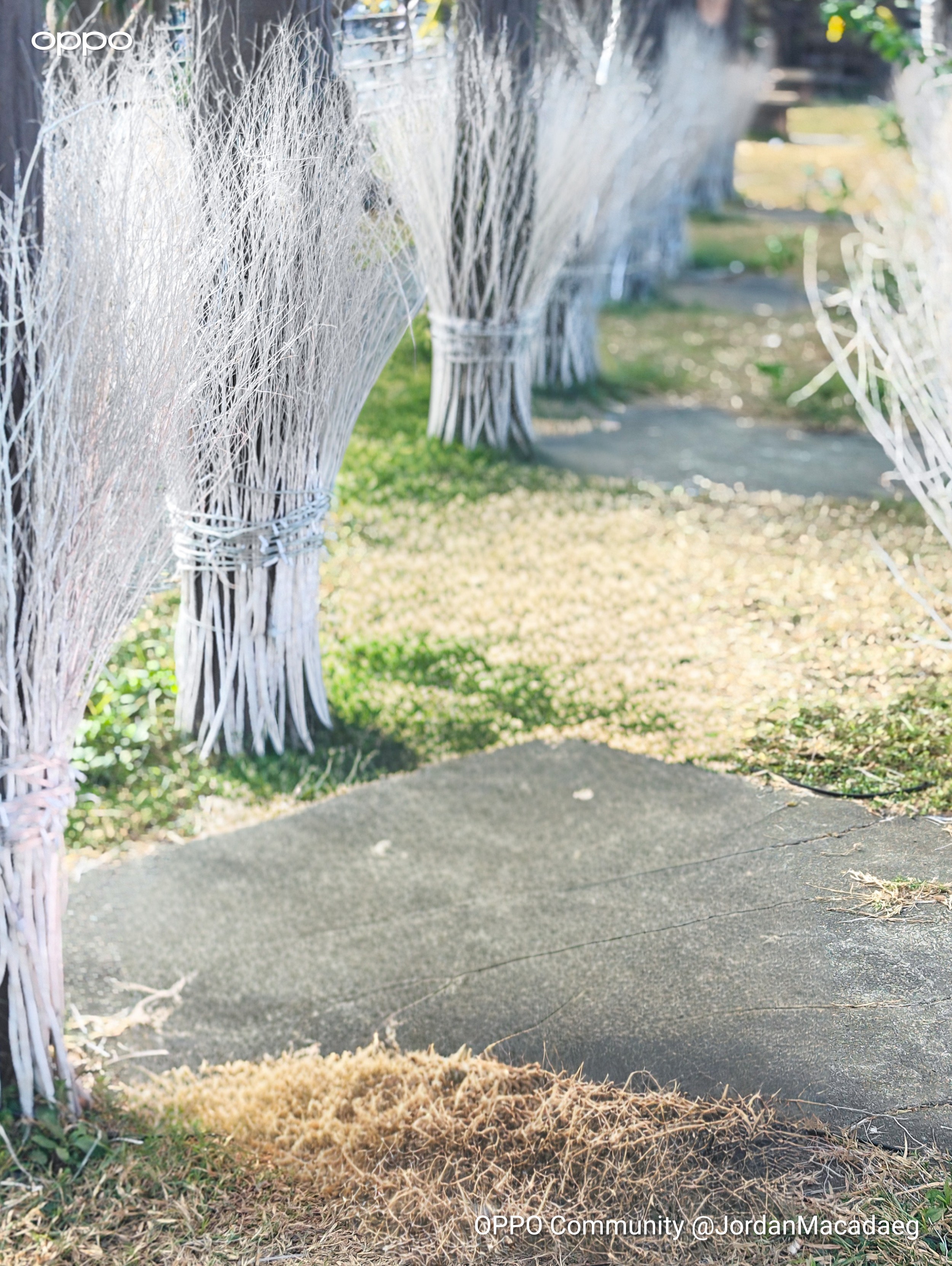 Can you guess what happened here? And what do you think I re