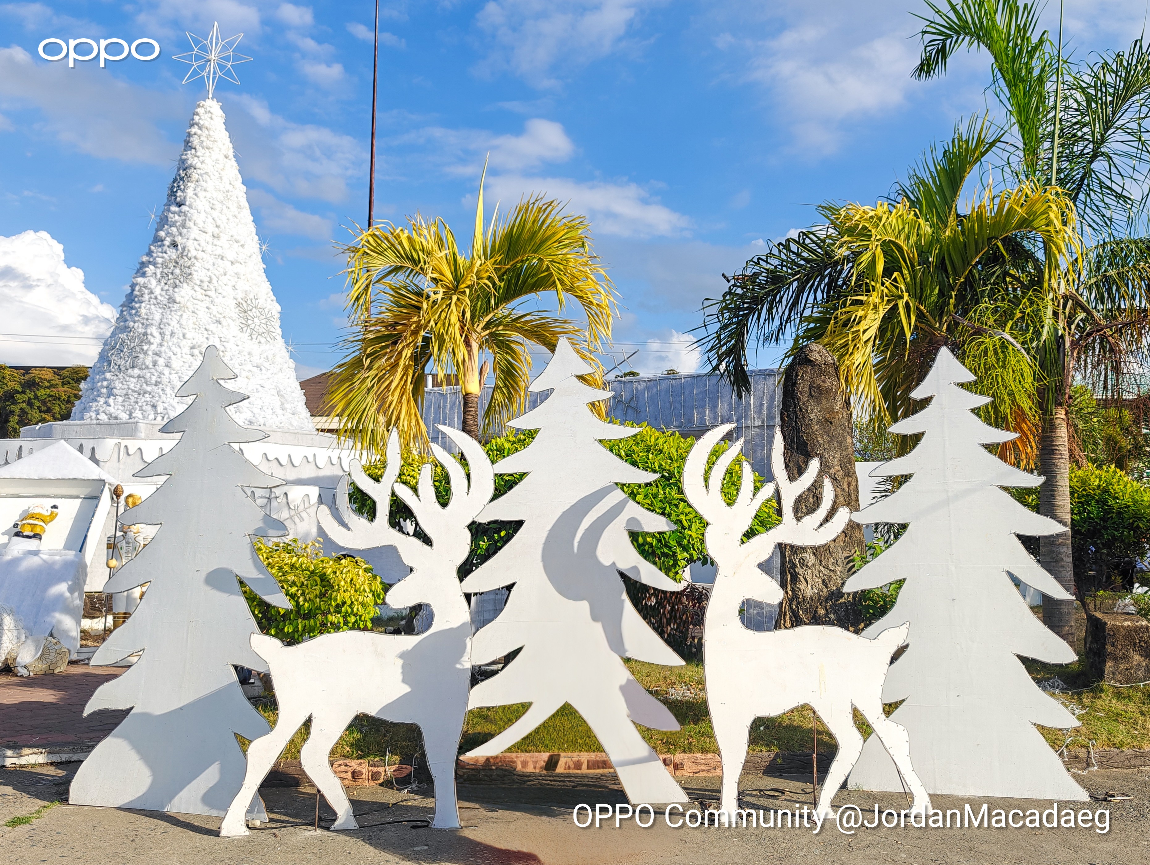 Can you guess what happened here? And what do you think I re