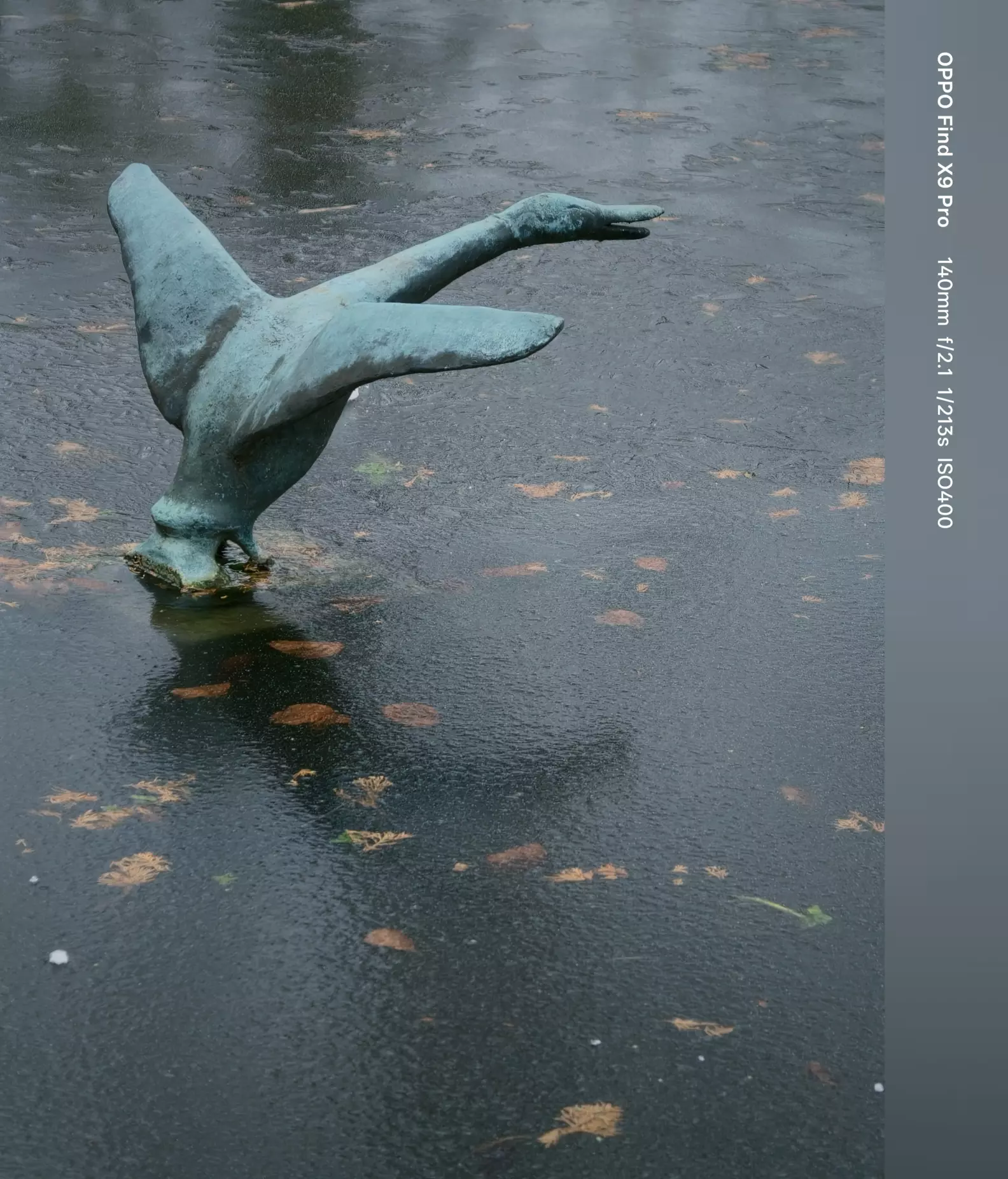 A frozen world of beauty In the Hortus Botanicus in Leiden i