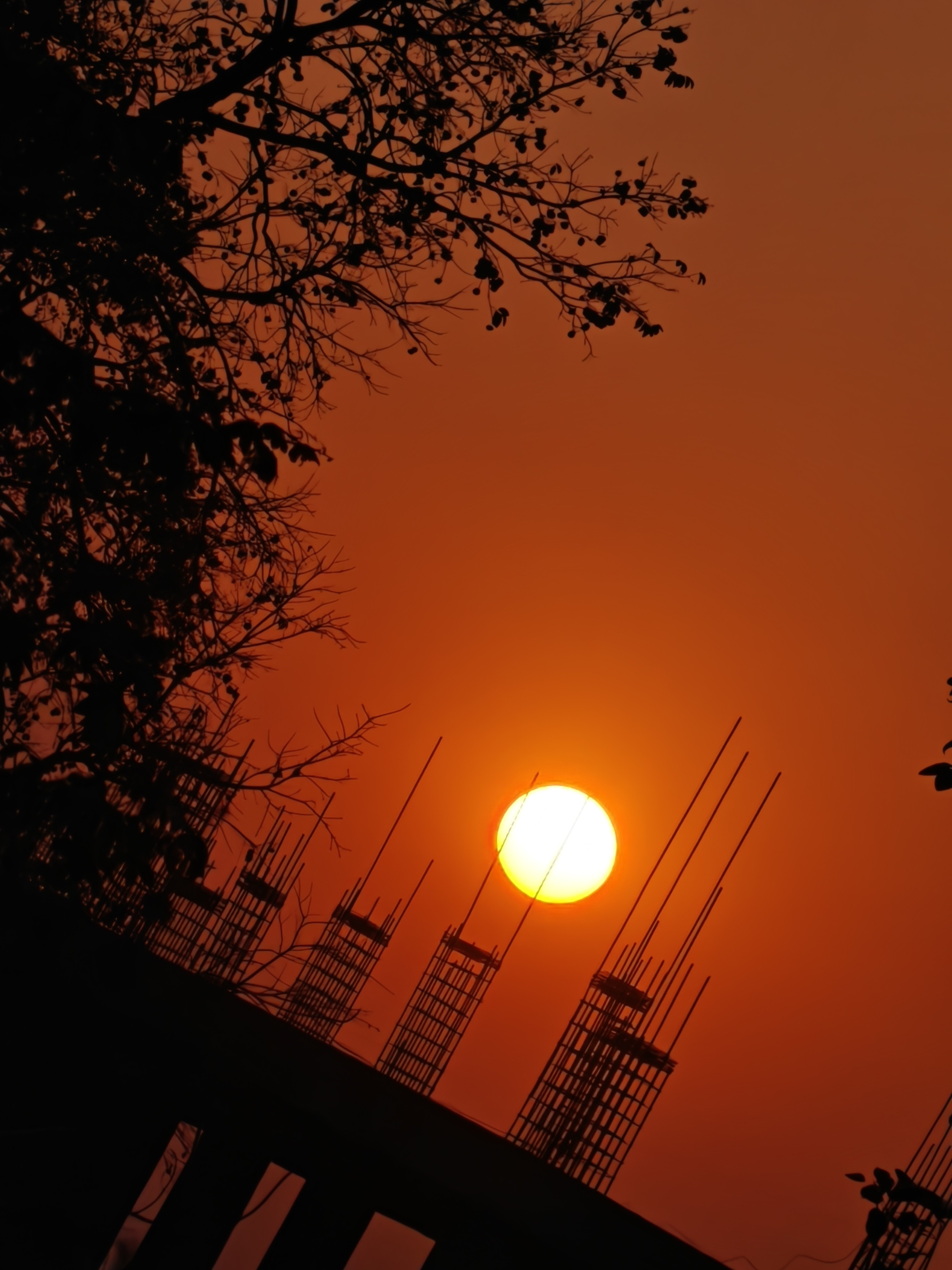 A sun that looks like it’s holding its breath caught between
