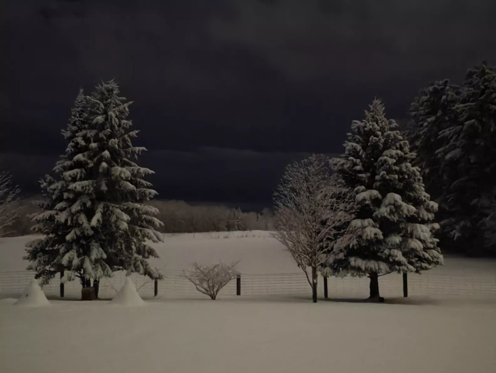 A January Morning 2026 in my Canada.