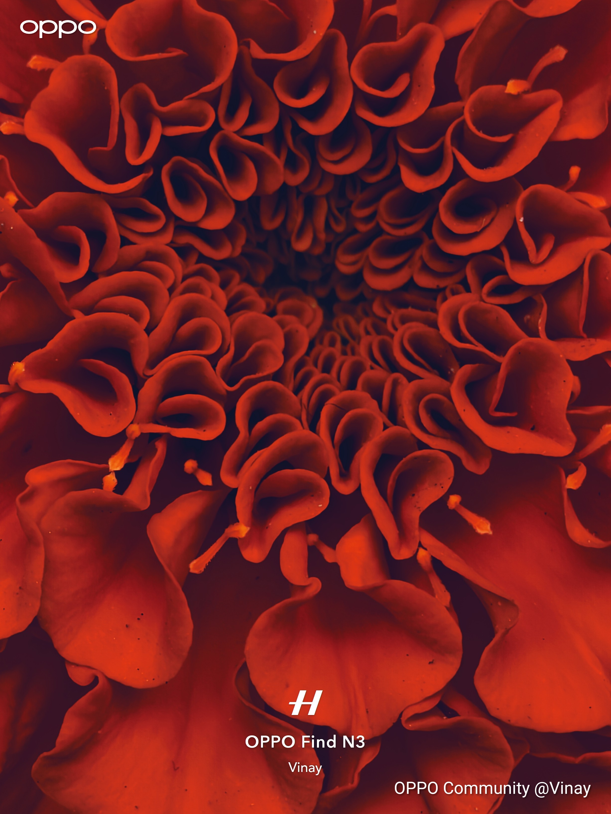 Guys, let me tell you a secret about the color RED. More tha