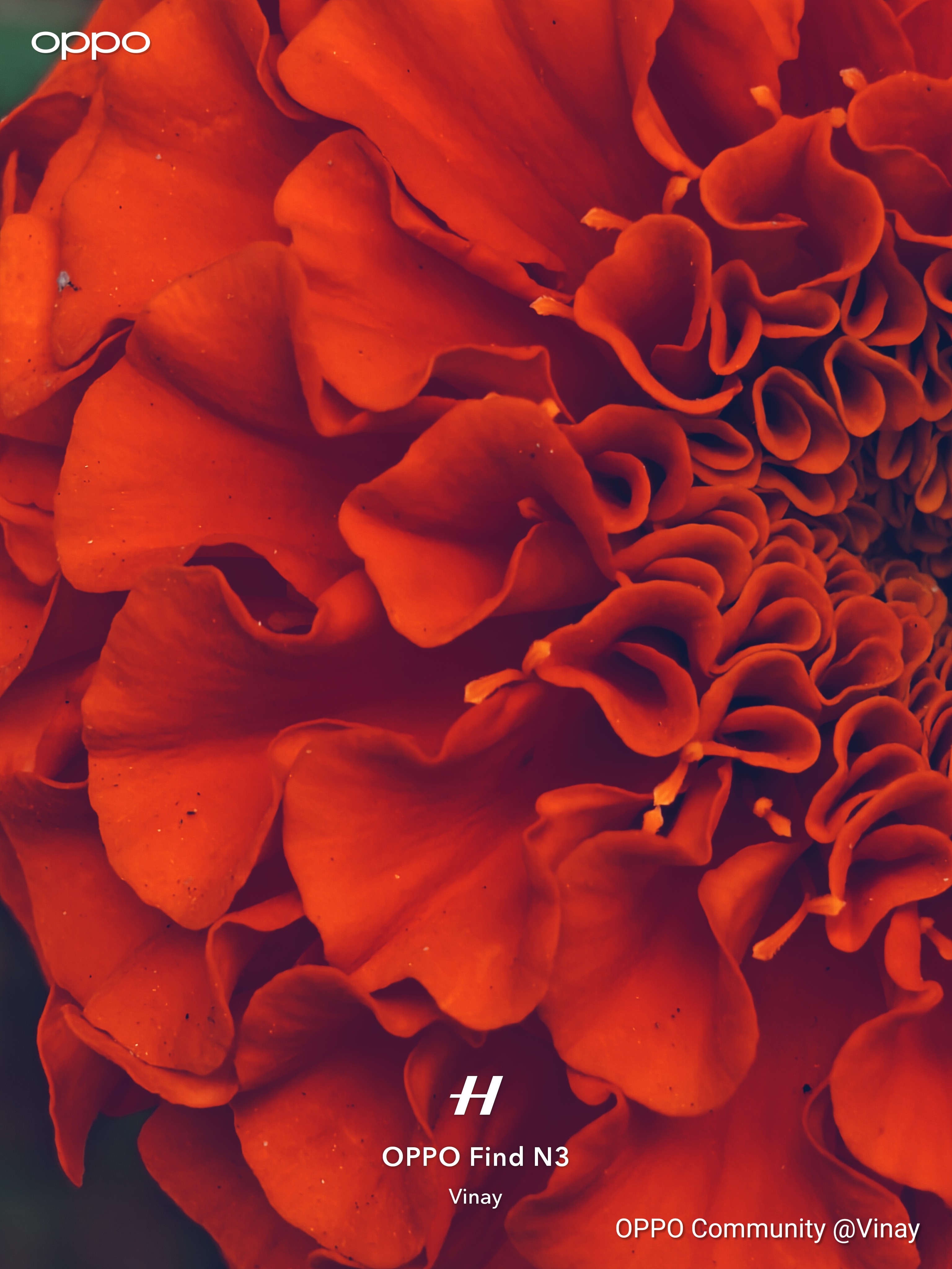 Guys, let me tell you a secret about the color RED. More tha