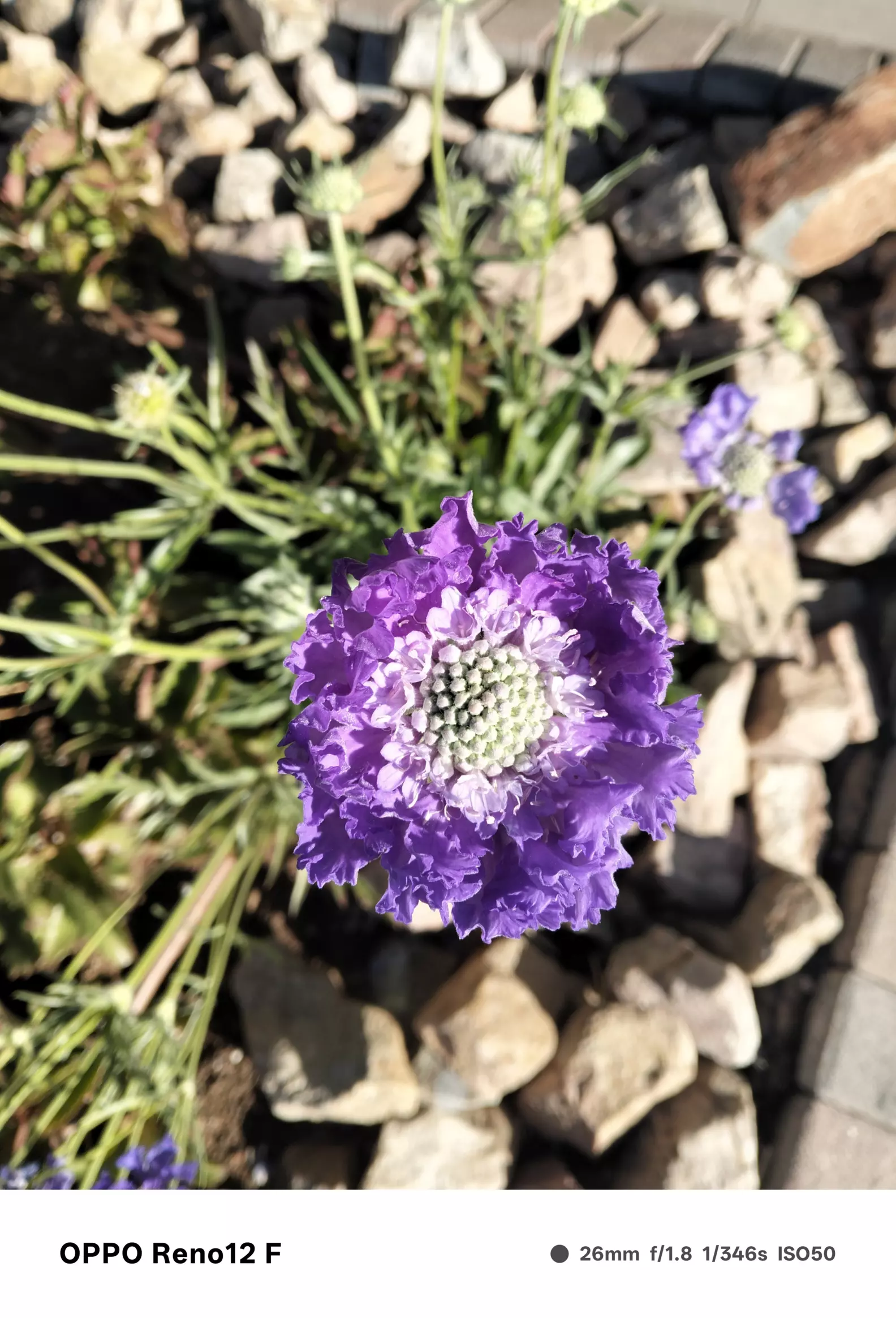 Good morning beautiful people how are you I hope everyone is