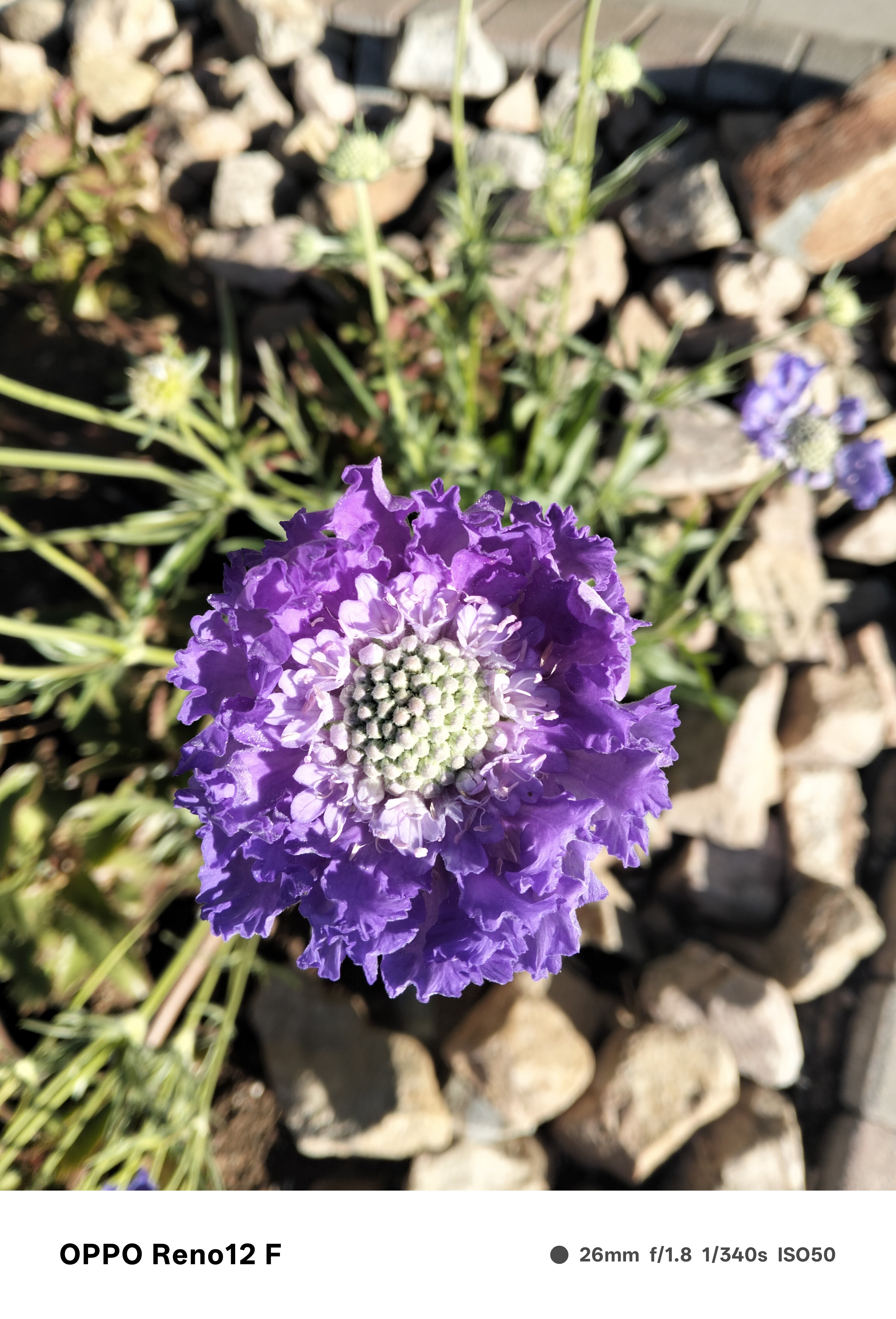 Good morning beautiful people how are you I hope everyone is