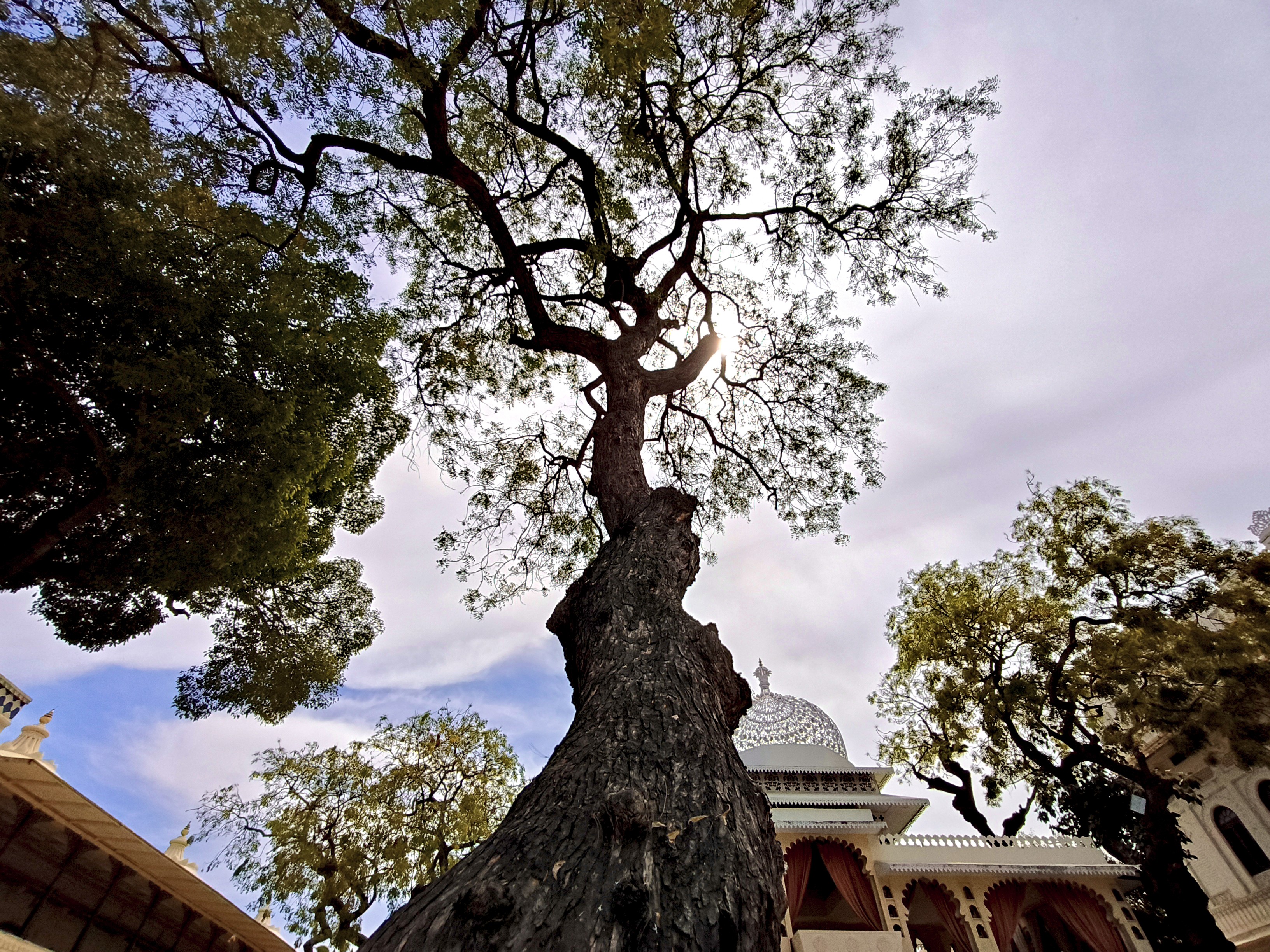 As a photographer what all things make you stop and click a