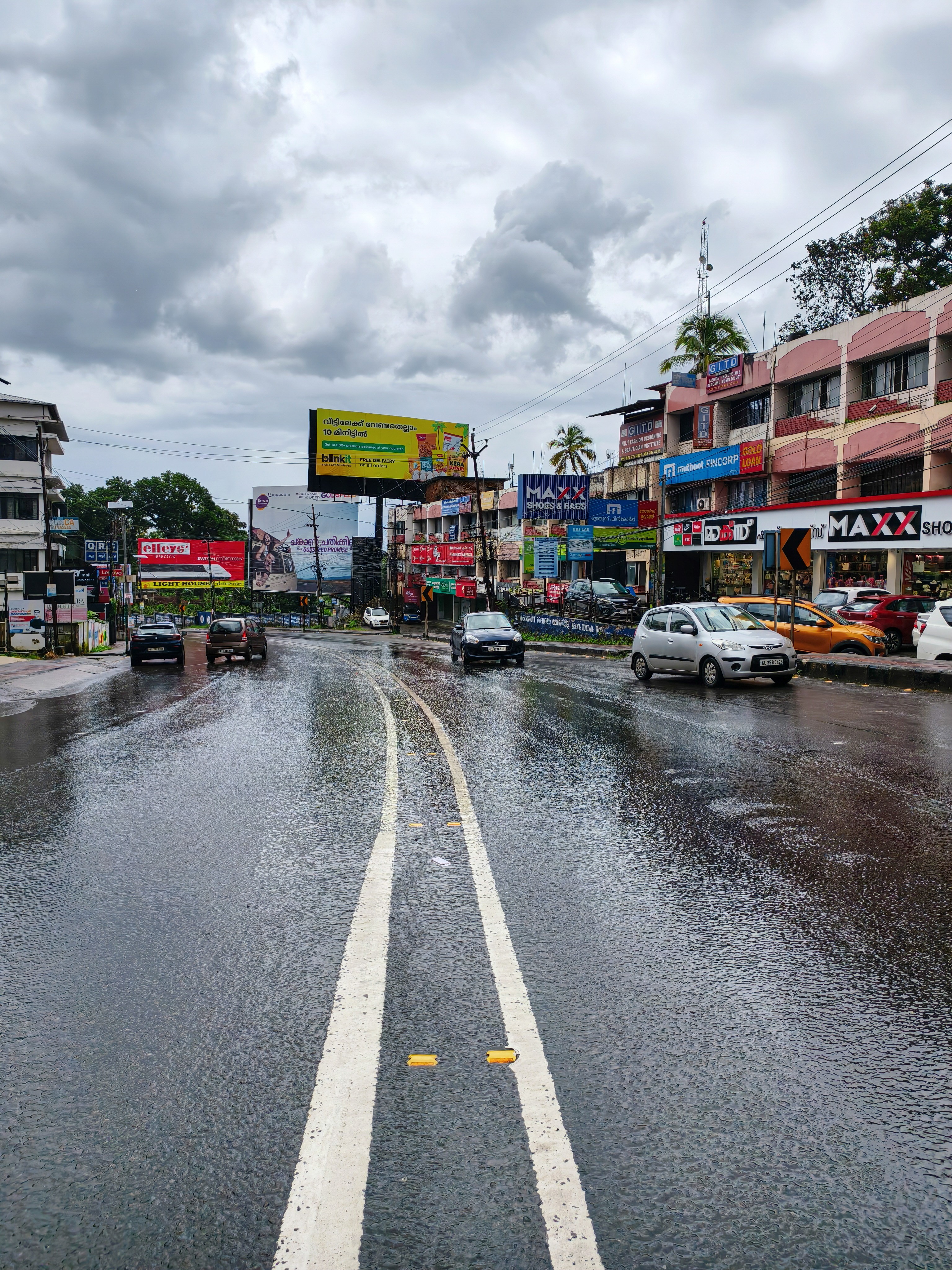 Rain: A Symphony of Memories and Green ☔