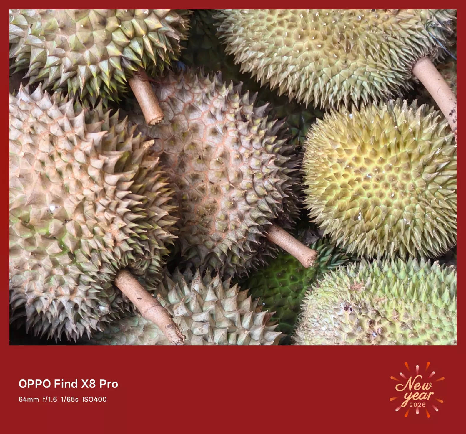 In Indonesia we call Durian .. What this fruit name in your