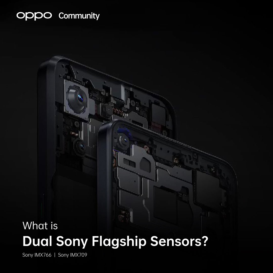 What are Dual Sony Flagship Sensors?