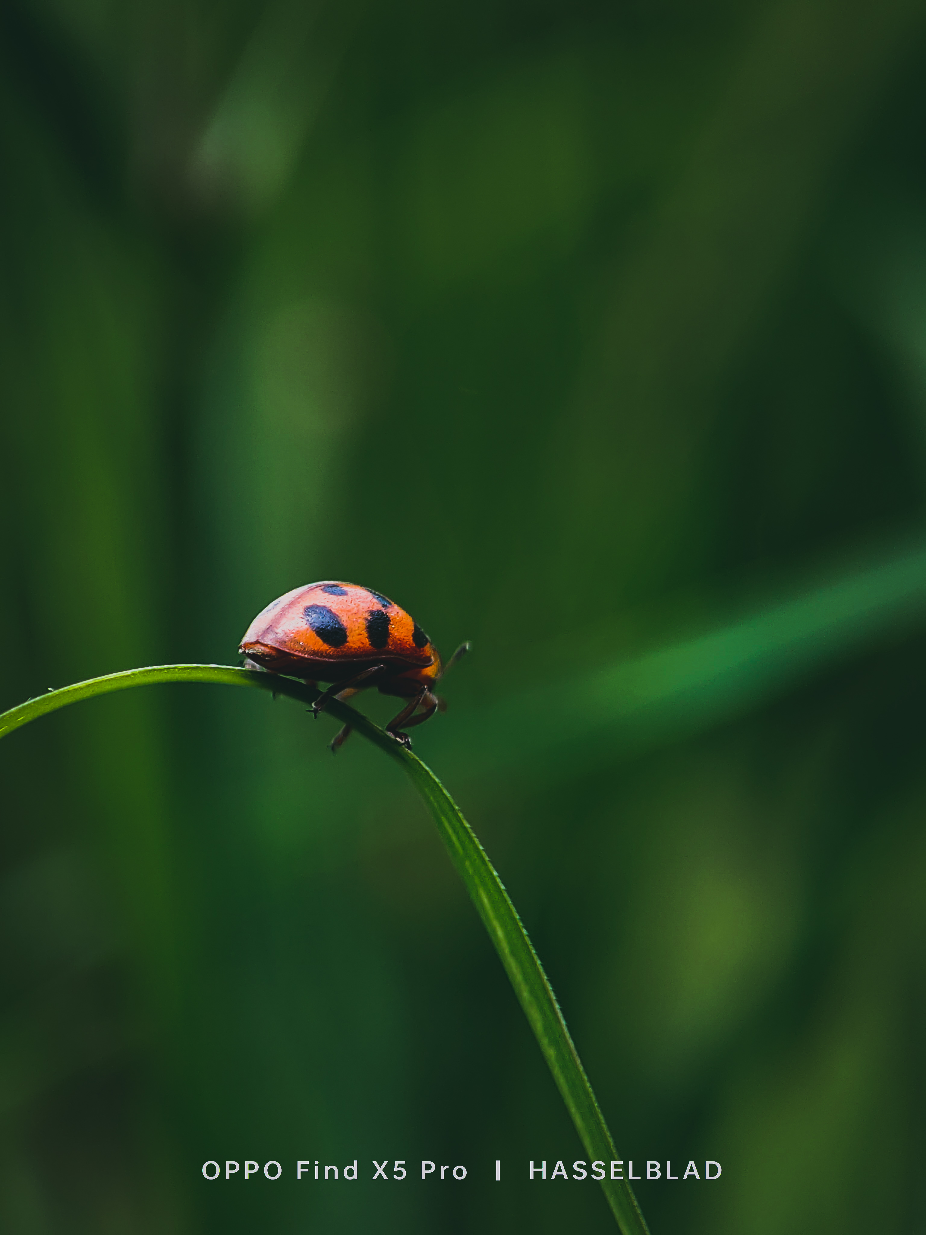 All About Thoney's Concepts