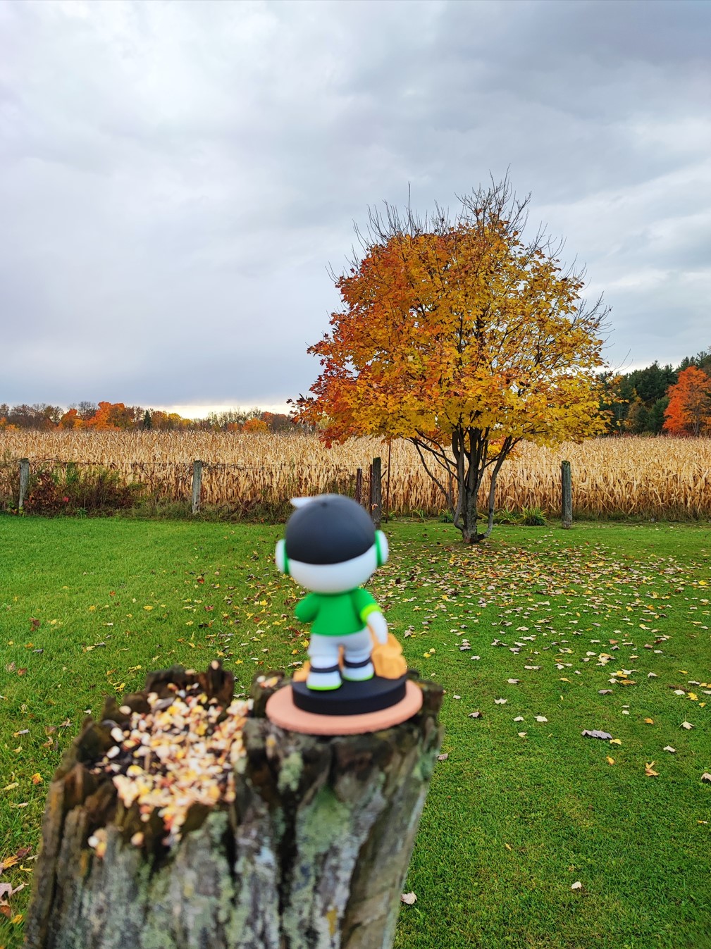 OPPO Global Community