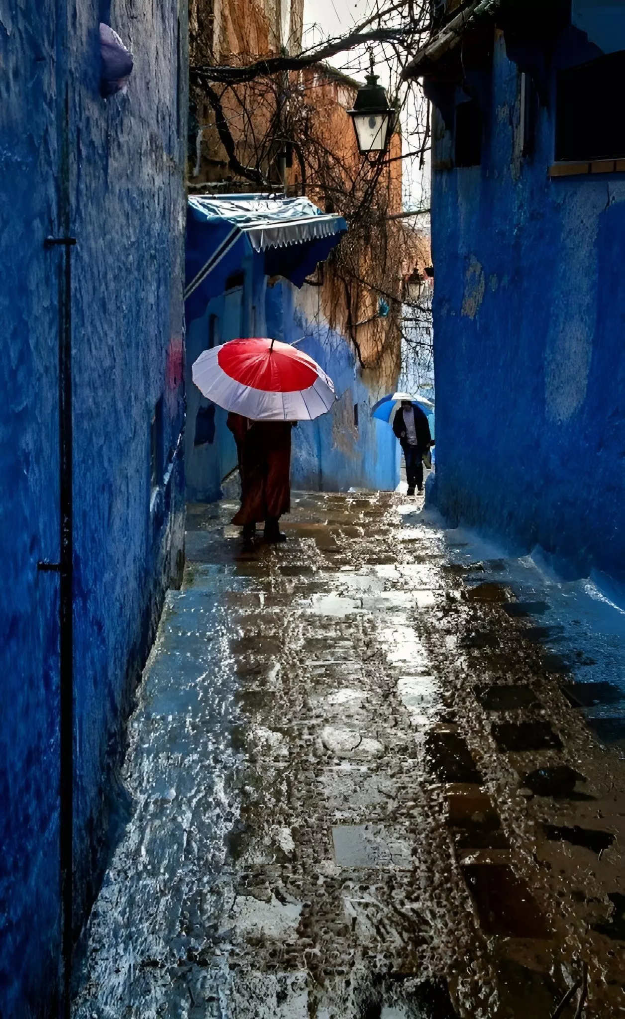 OPPO Global Community