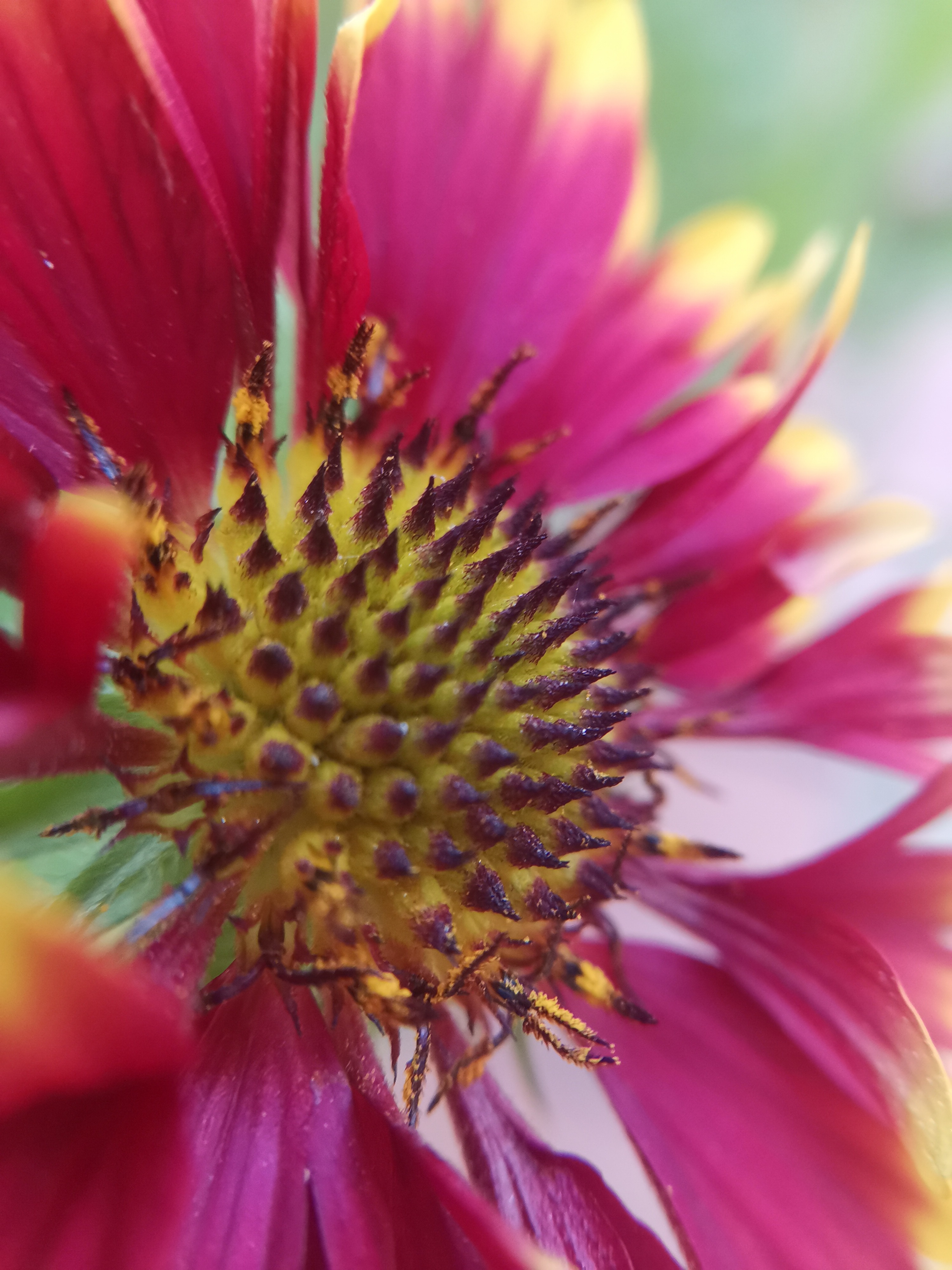 Macro shots