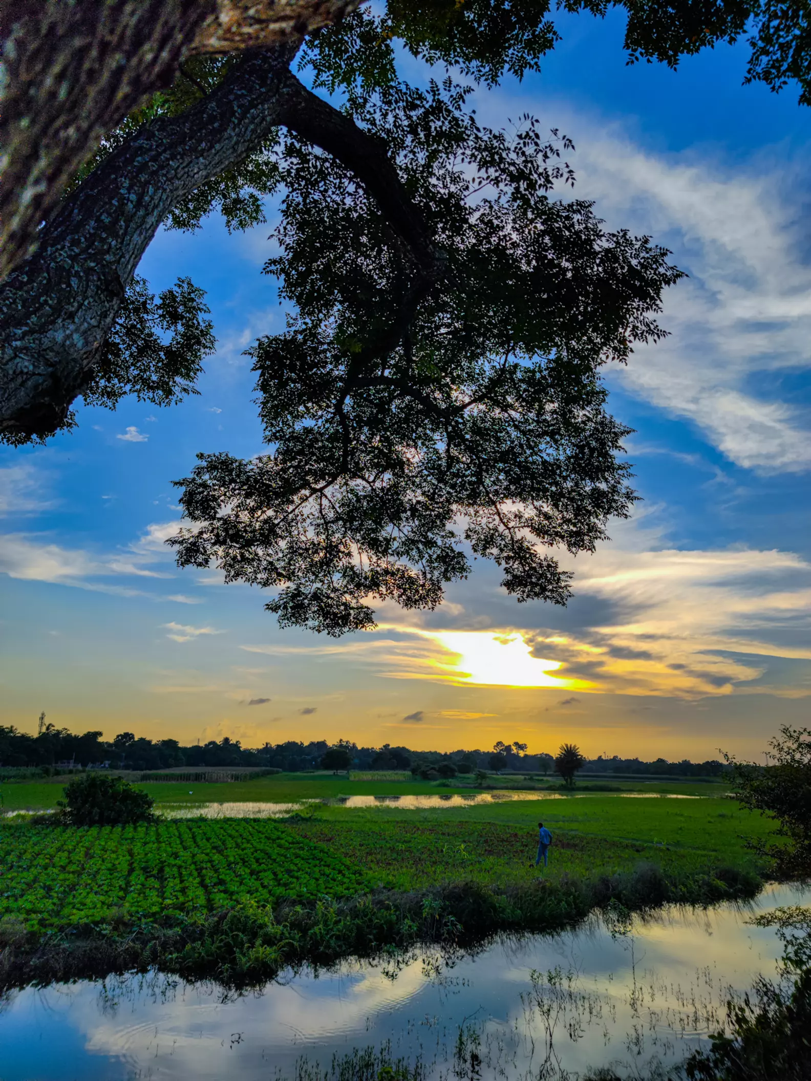 Title - Colors are the smiles of mother nature© Pramit Das