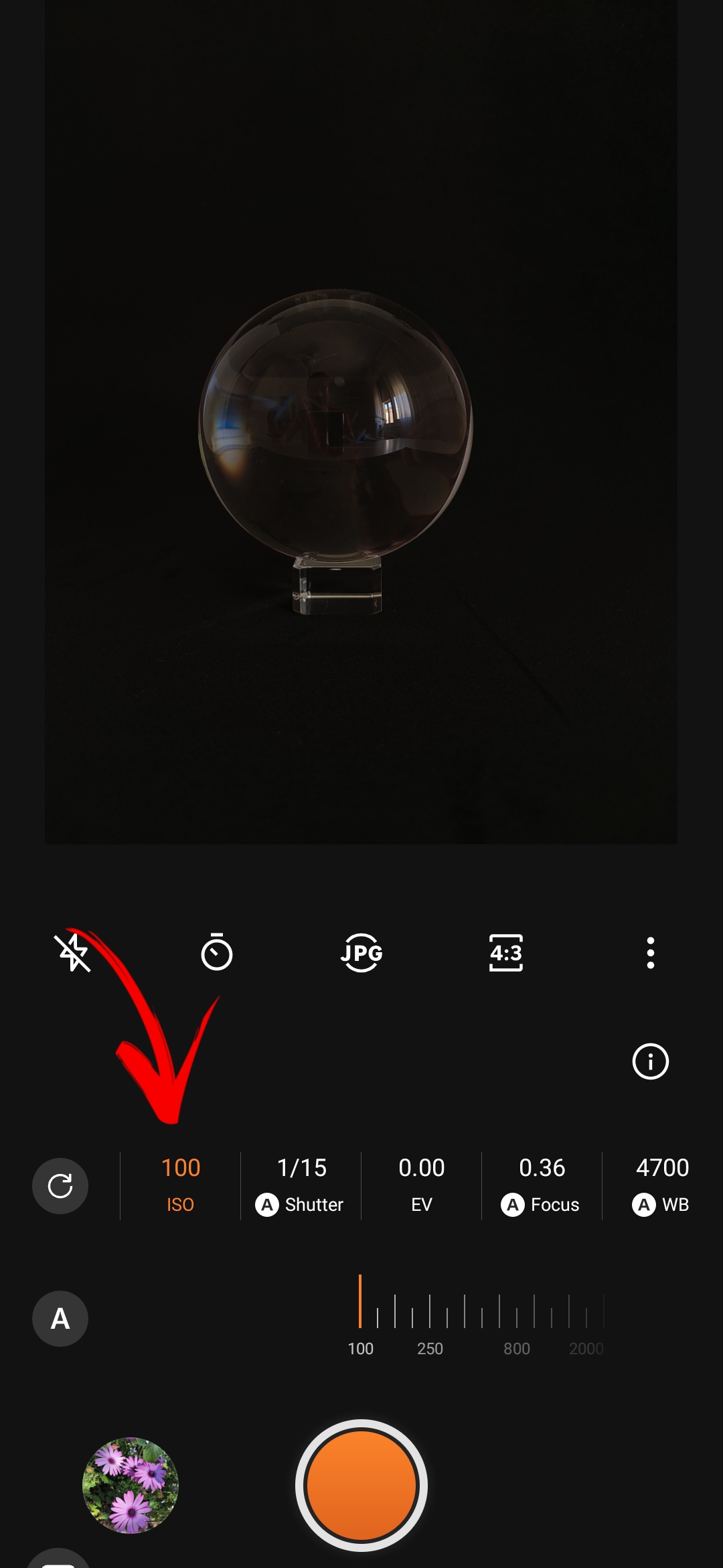 OPPO Global Community