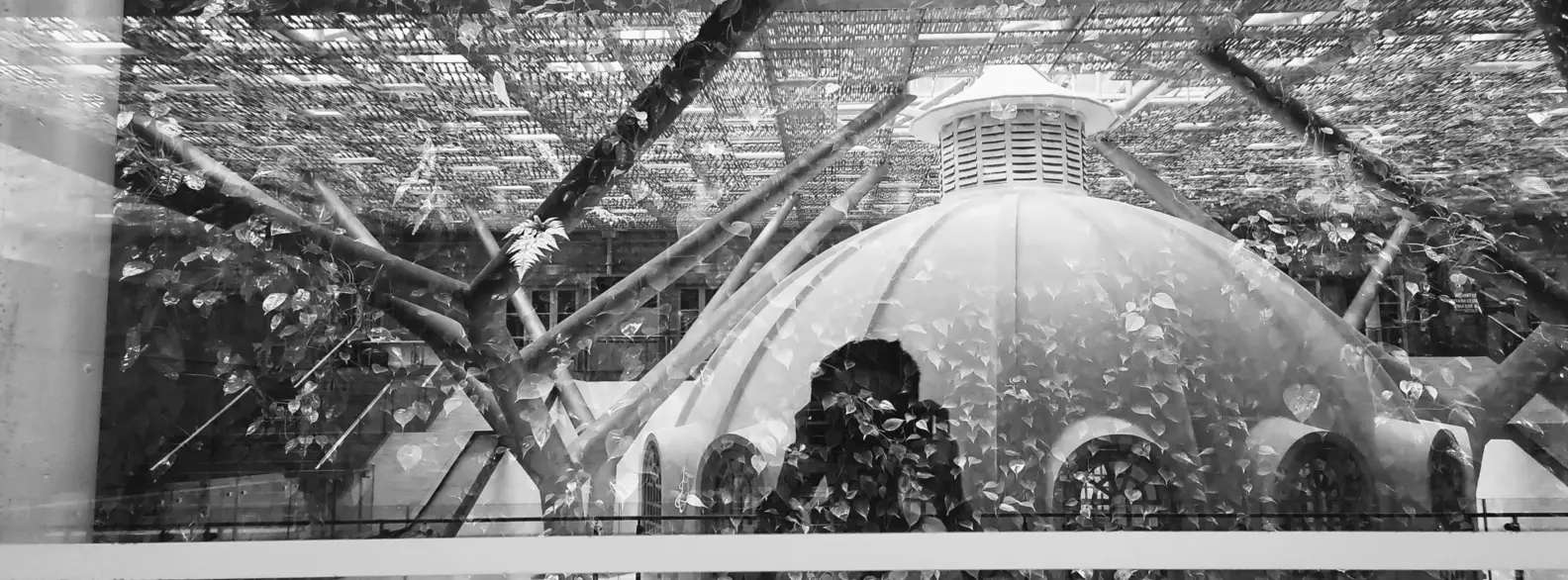 OPPO Global Community