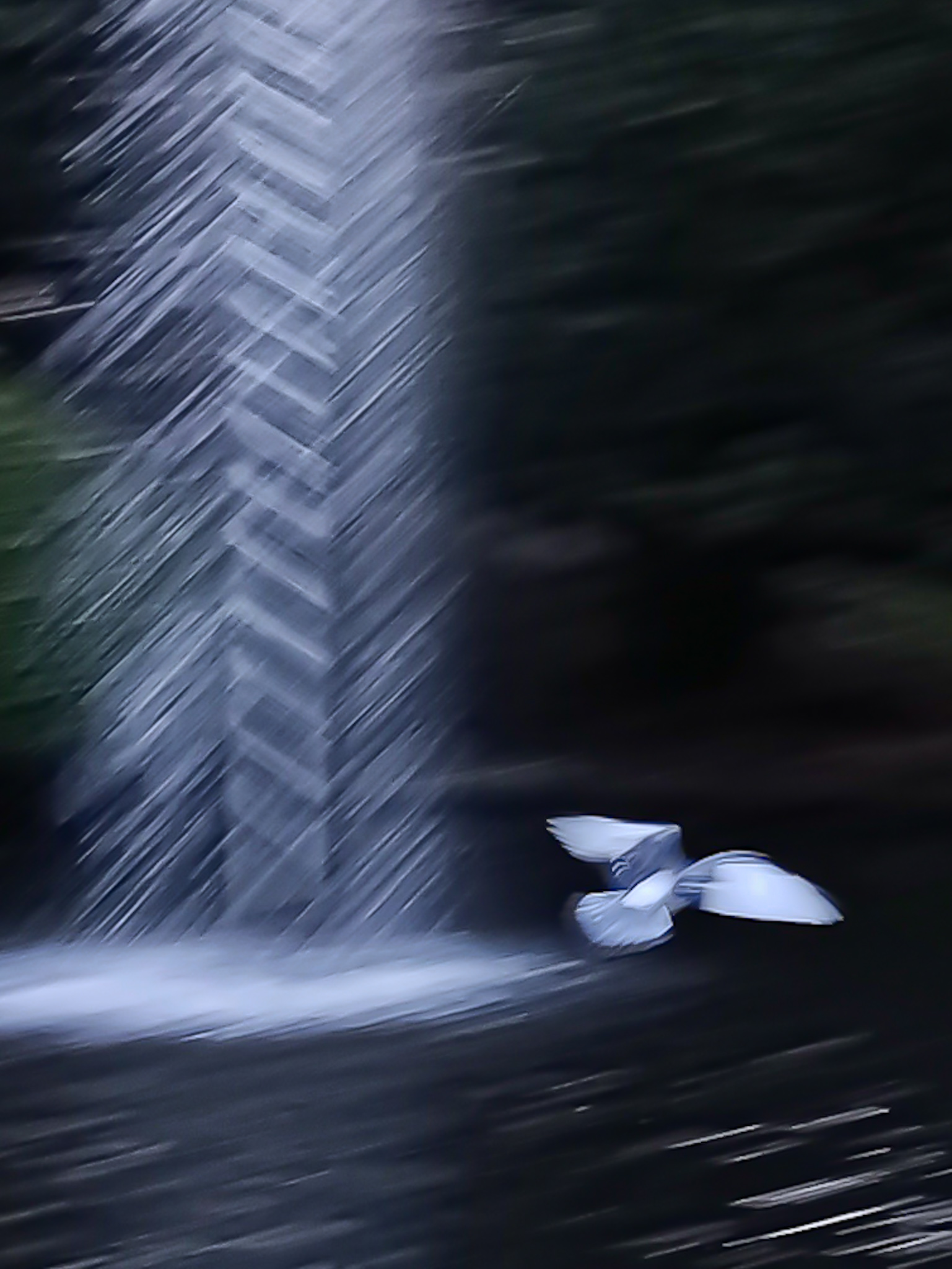 Master Panning Photography with your OPPO phone