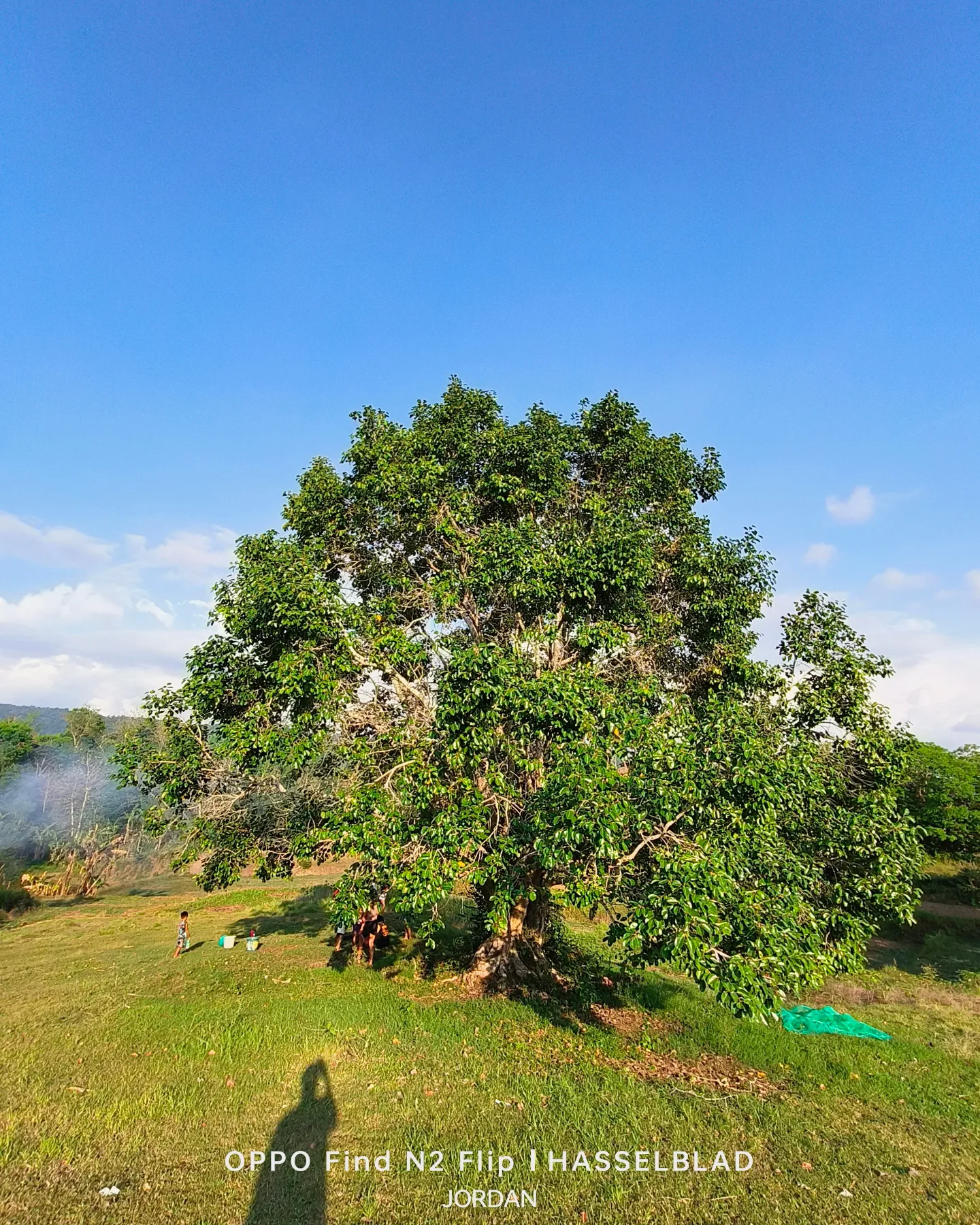 OPPO Global Community