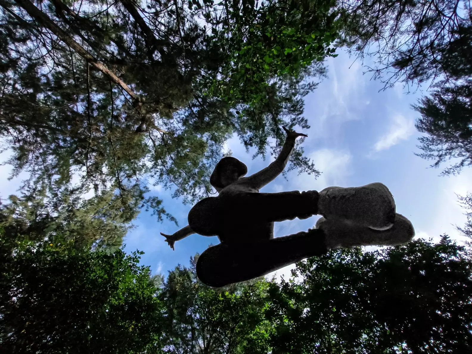 A New Screen Protector for My Find N2 Flip