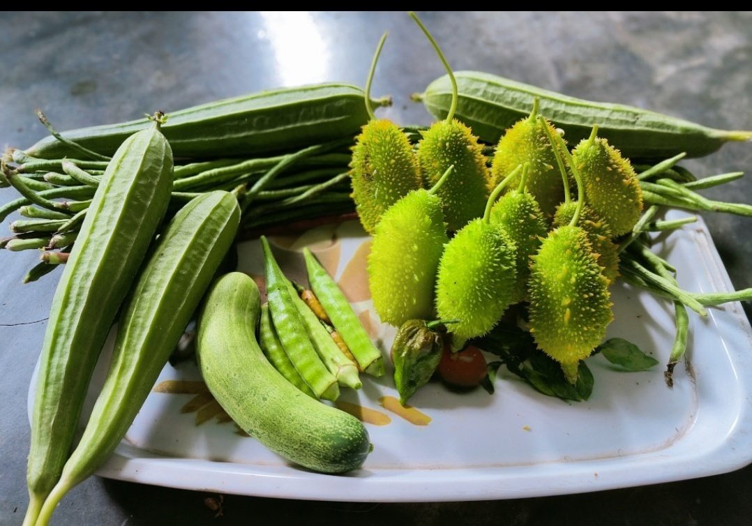 OPPO Global Community