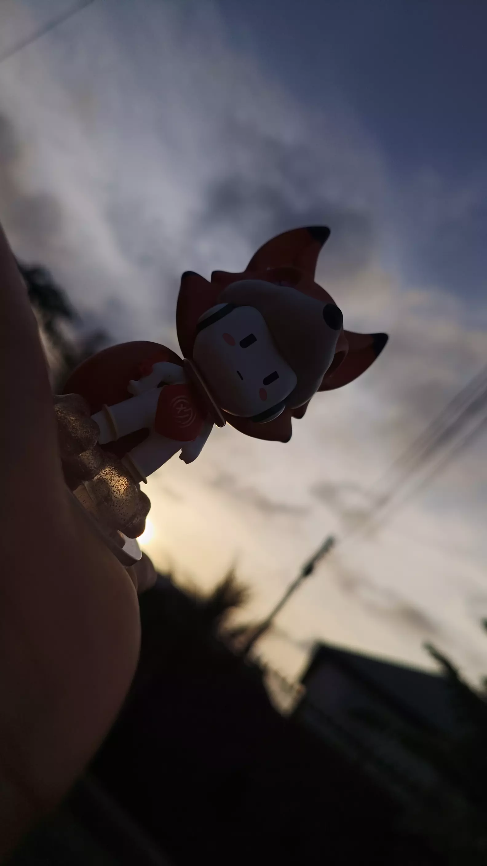 Fox Ollie says Hi to community from the City of Port-Harcour