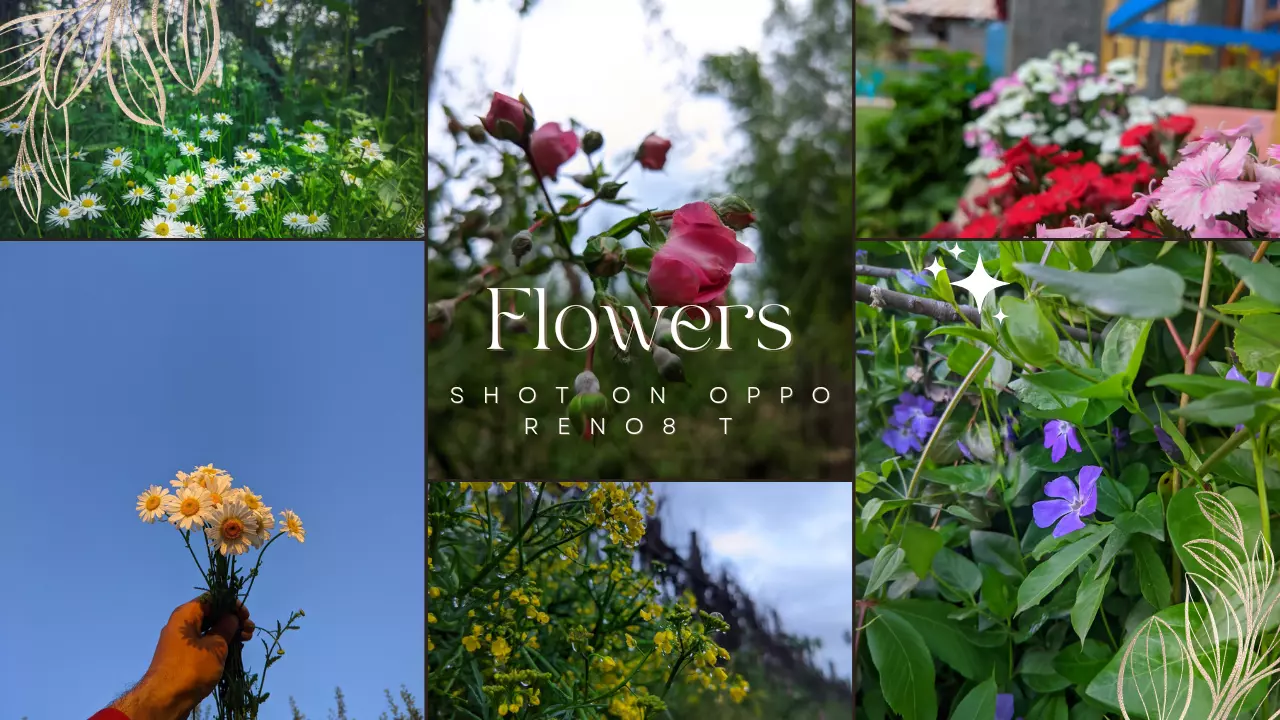 A Thread of Captivating Flower Photographs