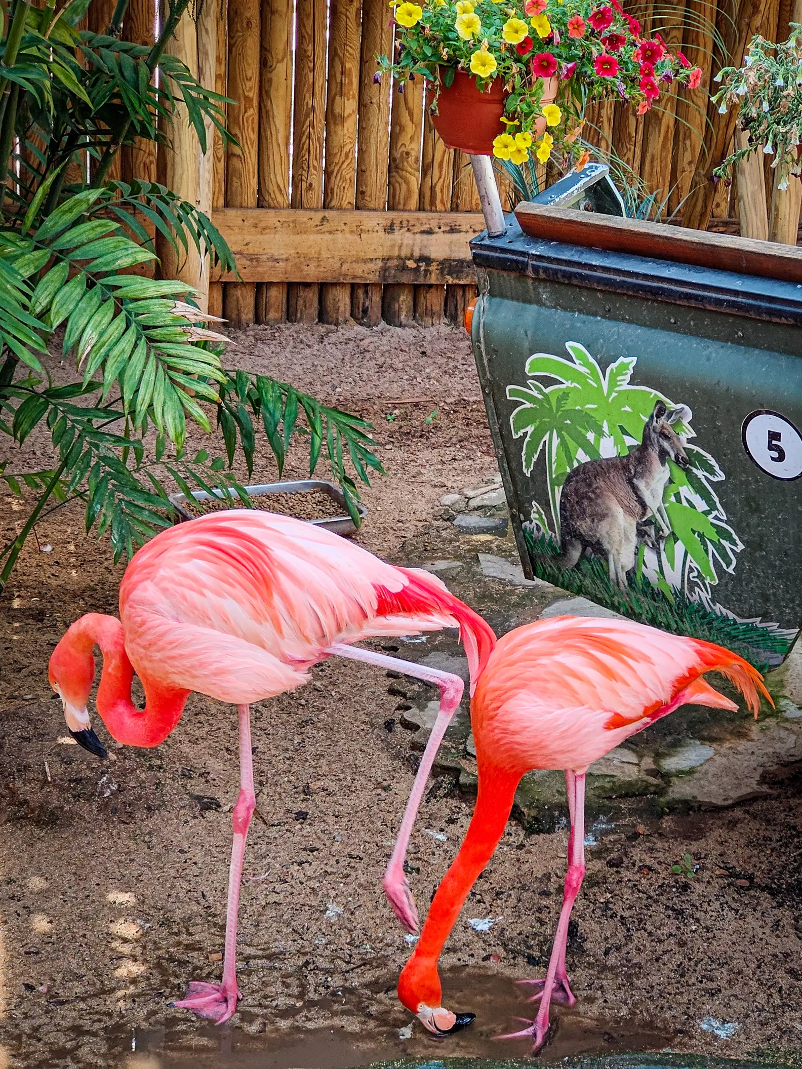 OPPO BIRDS 2