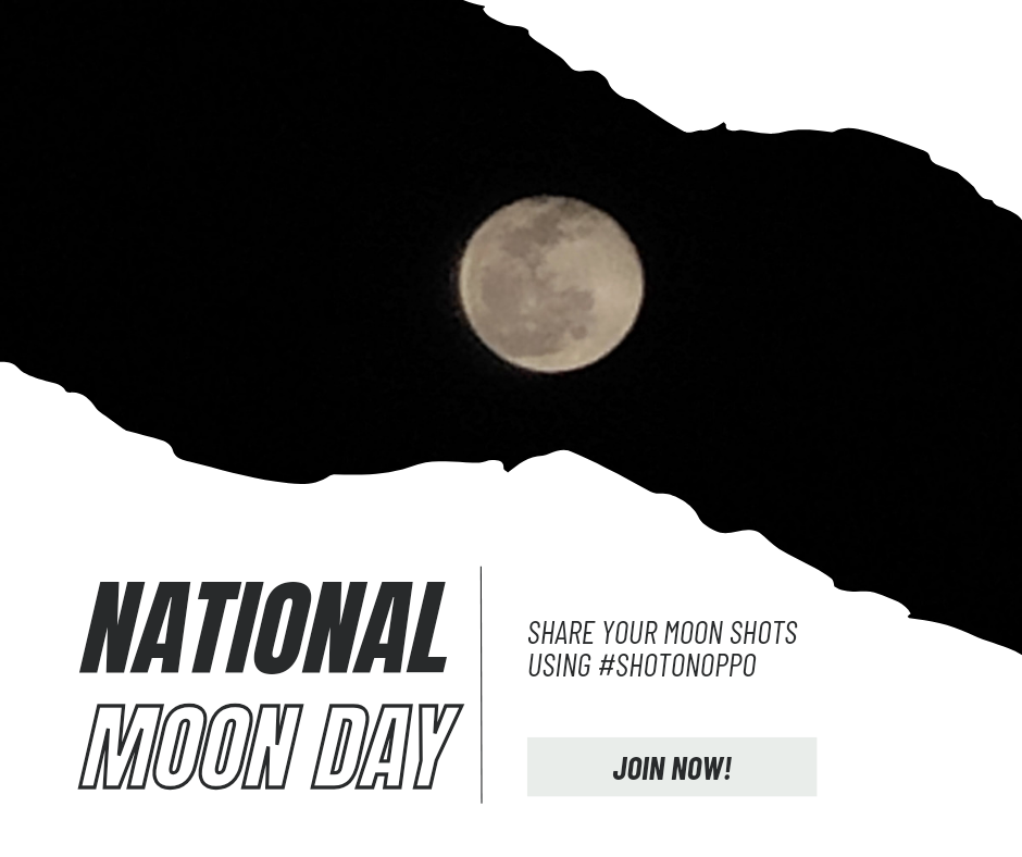 National Moon Day