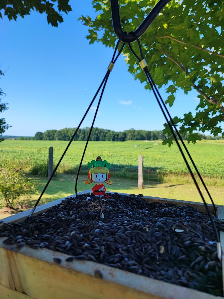 Ollie’s Pics from the Garden in Canada