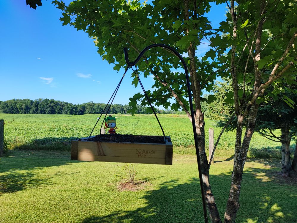 Ollie’s Pics from the Garden in Canada