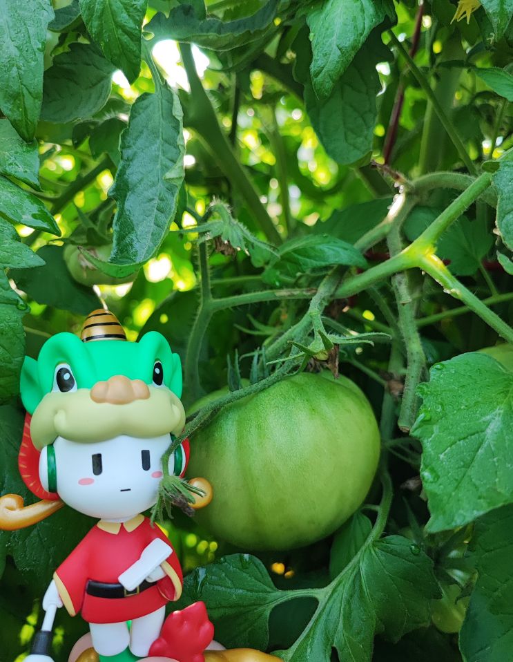 Ollie’s Pics from the Garden in Canada